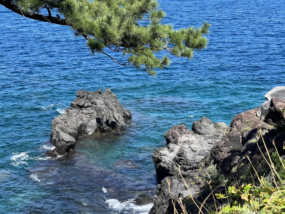 A Nature Day Trip to Izu: Jogasaki Coast and Mount Omuro Itinerary — Travely Notes