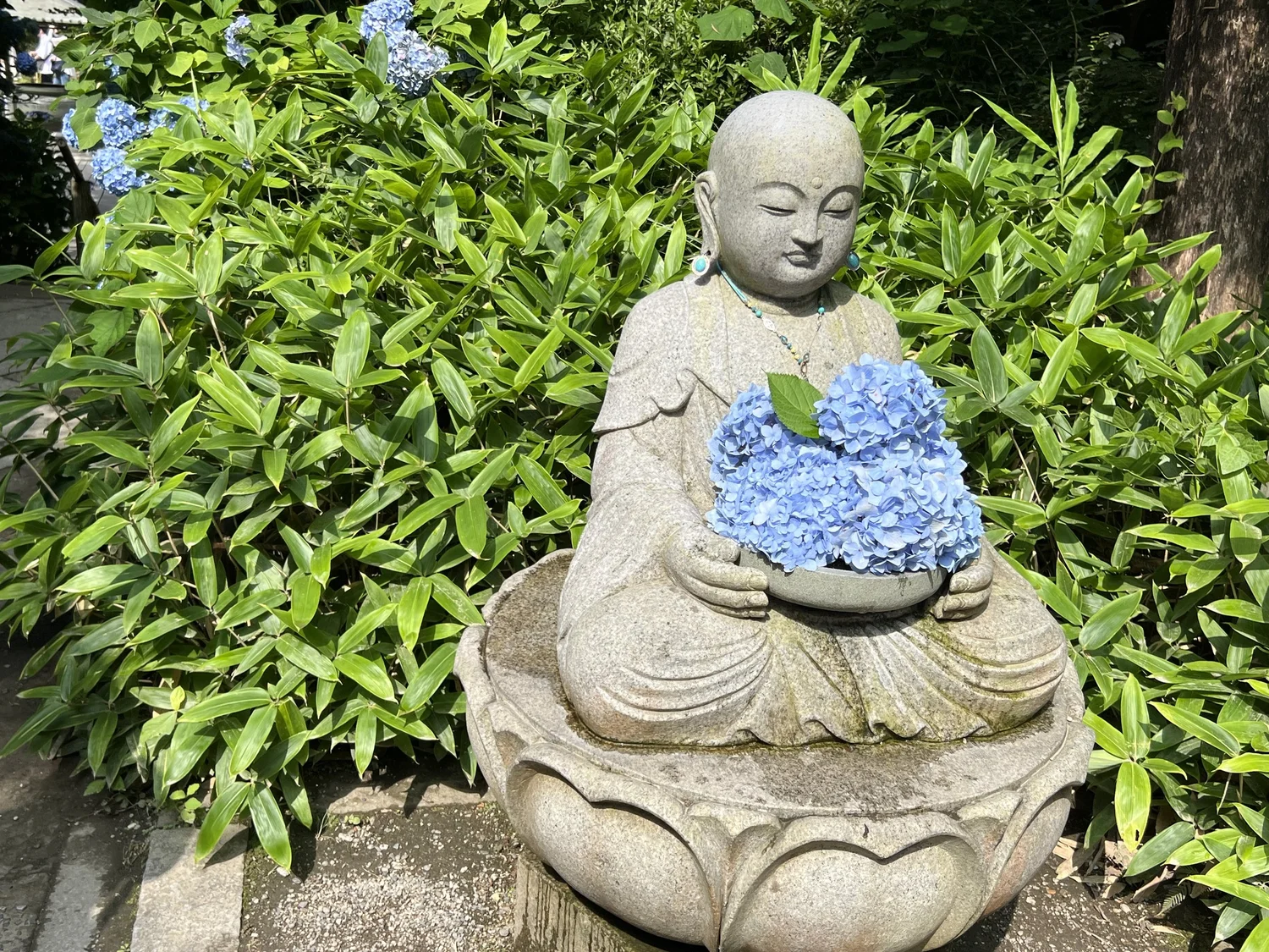 Kamakura Hydrangea Season Itinerary: A Perfect Day Trip from Tokyo ...
