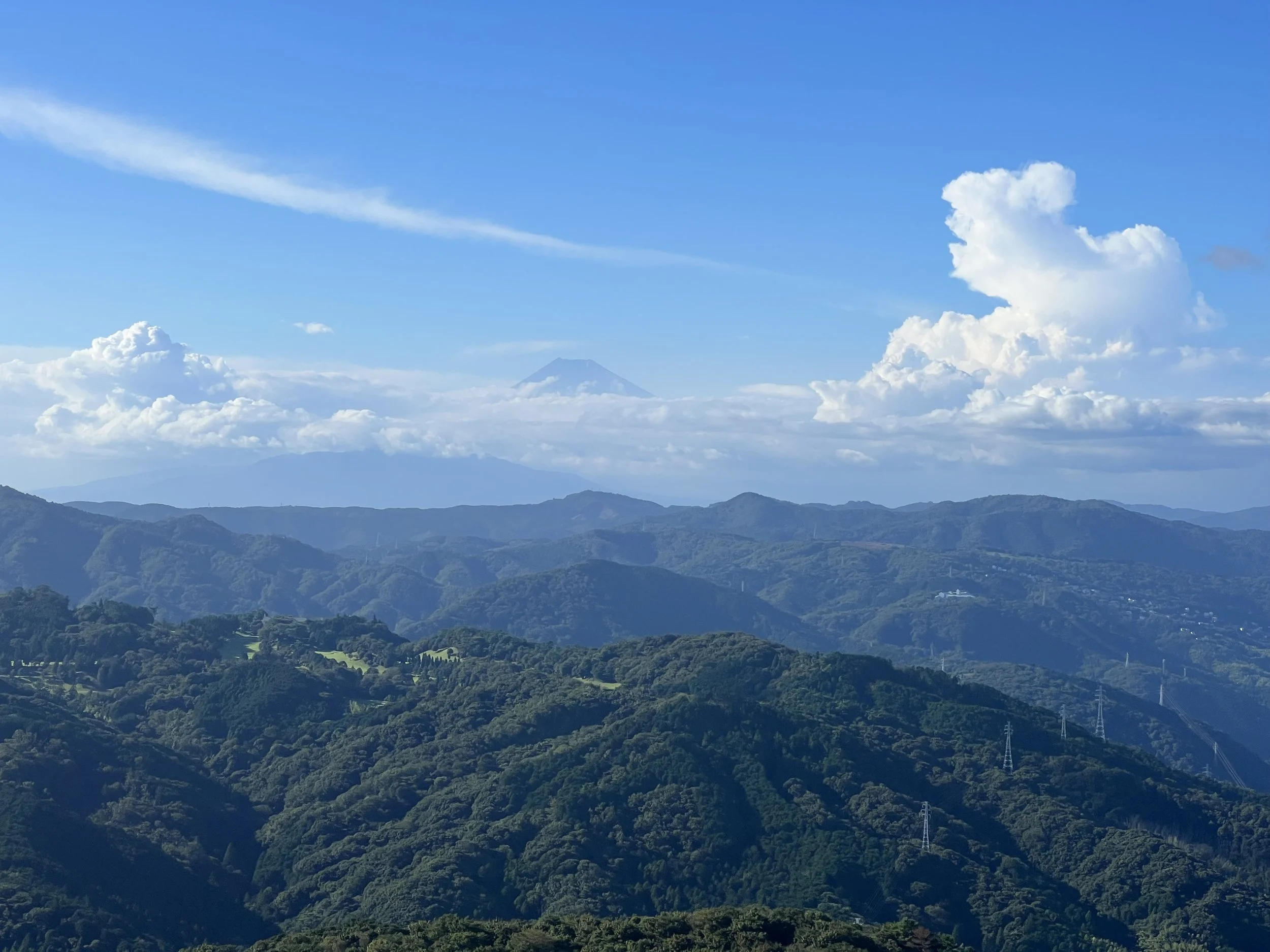 A Nature Day Trip to Izu: Jogasaki Coast and Mount Omuro Itinerary ...