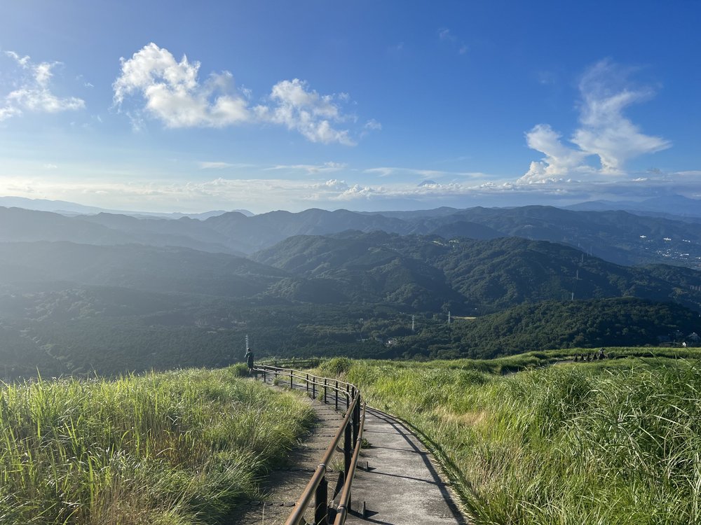 A Nature Day Trip to Izu: Jogasaki Coast and Mount Omuro Itinerary ...