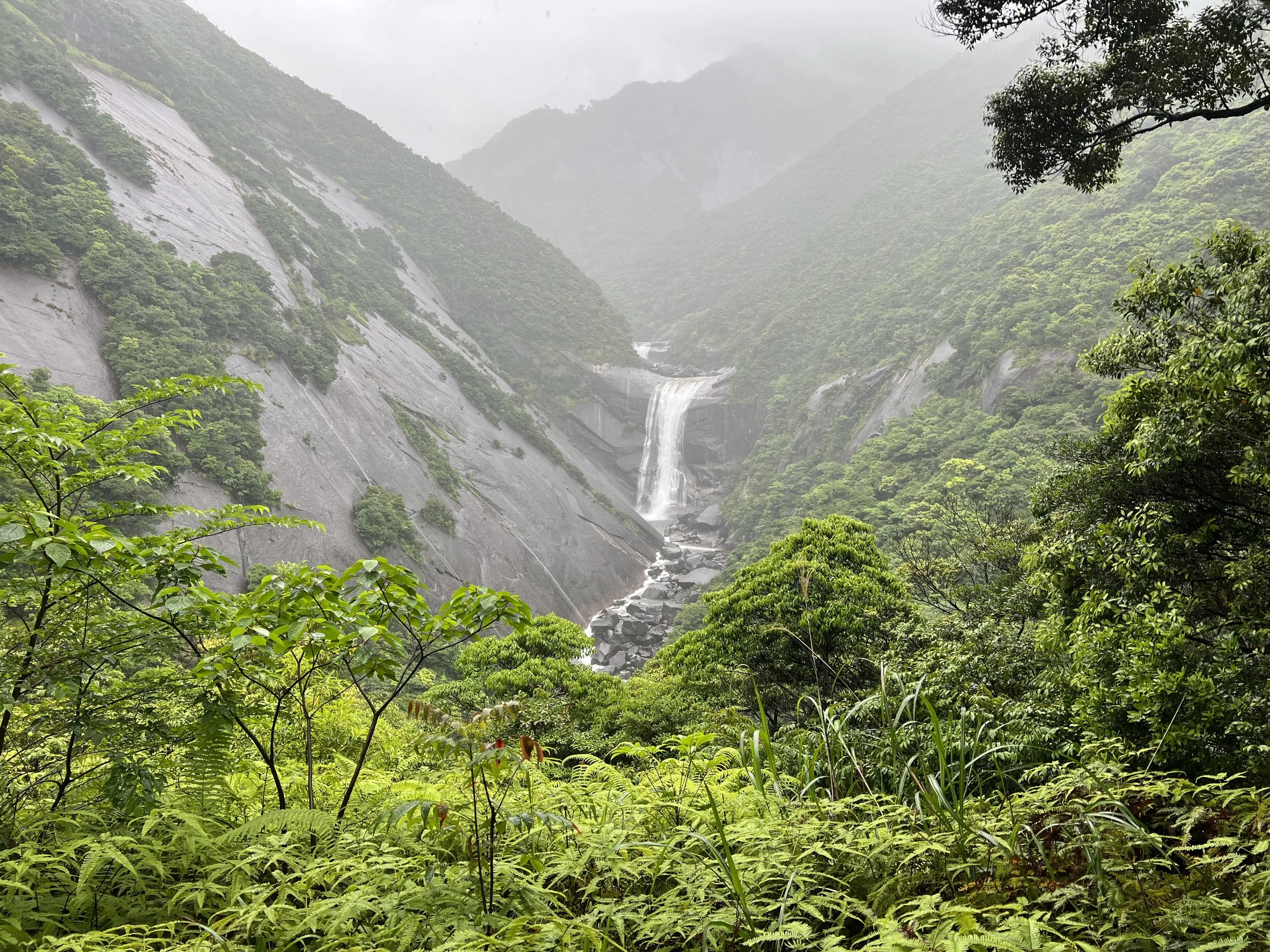 Yakushima Island Itinerary: A Nature Paradise in Southern Japan ...