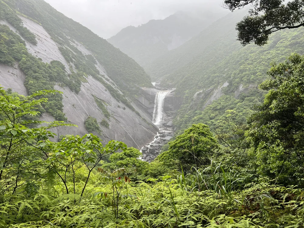 Yakushima Travel Guide: Top Things to Do & Essential Tips in Japan’s ...