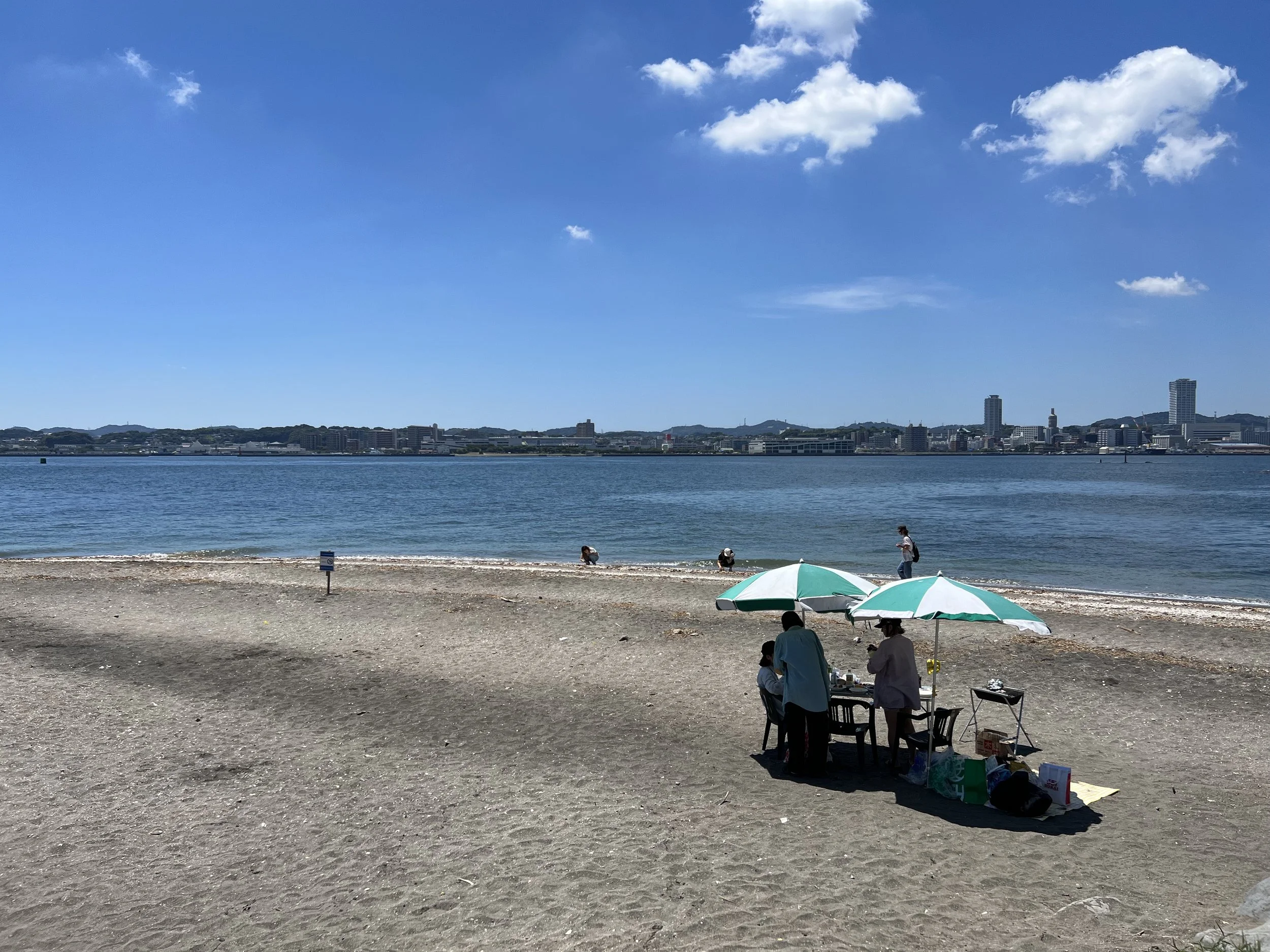 Sarushima Day Trip Guide from Tokyo: Things to Do, How to Get There ...