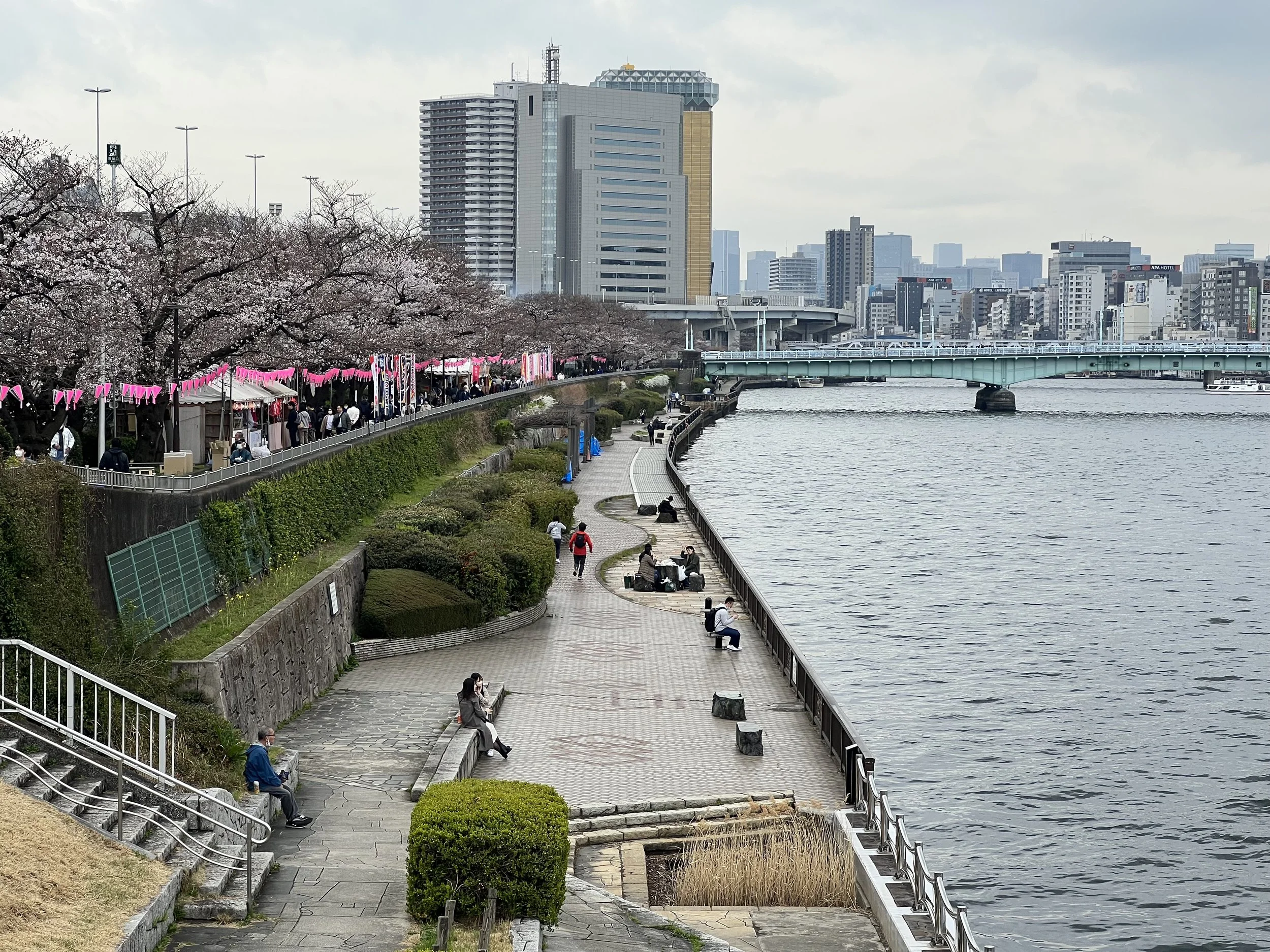 My Favorite Places to See Cherry Blossom in Tokyo — Travely Notes