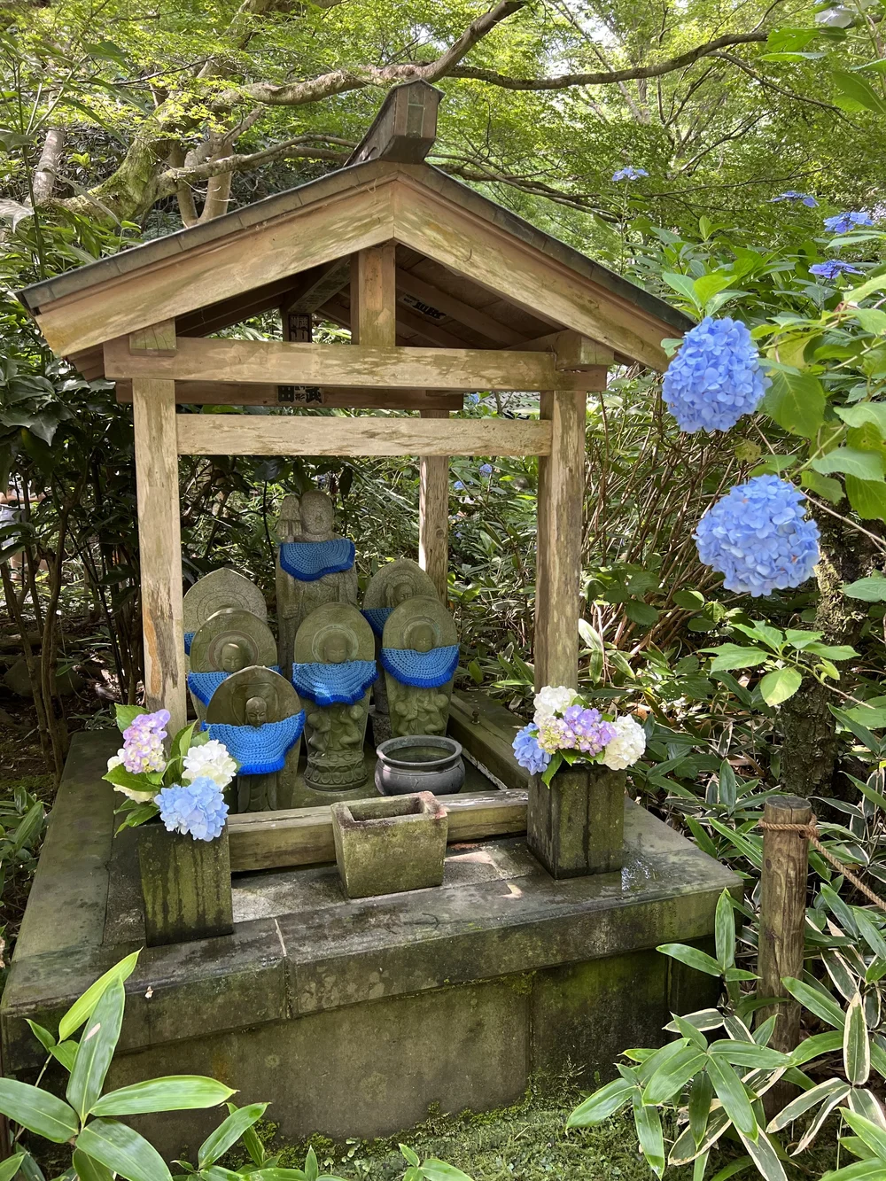 Kamakura Hydrangea Season Itinerary: A Perfect Day Trip from Tokyo ...