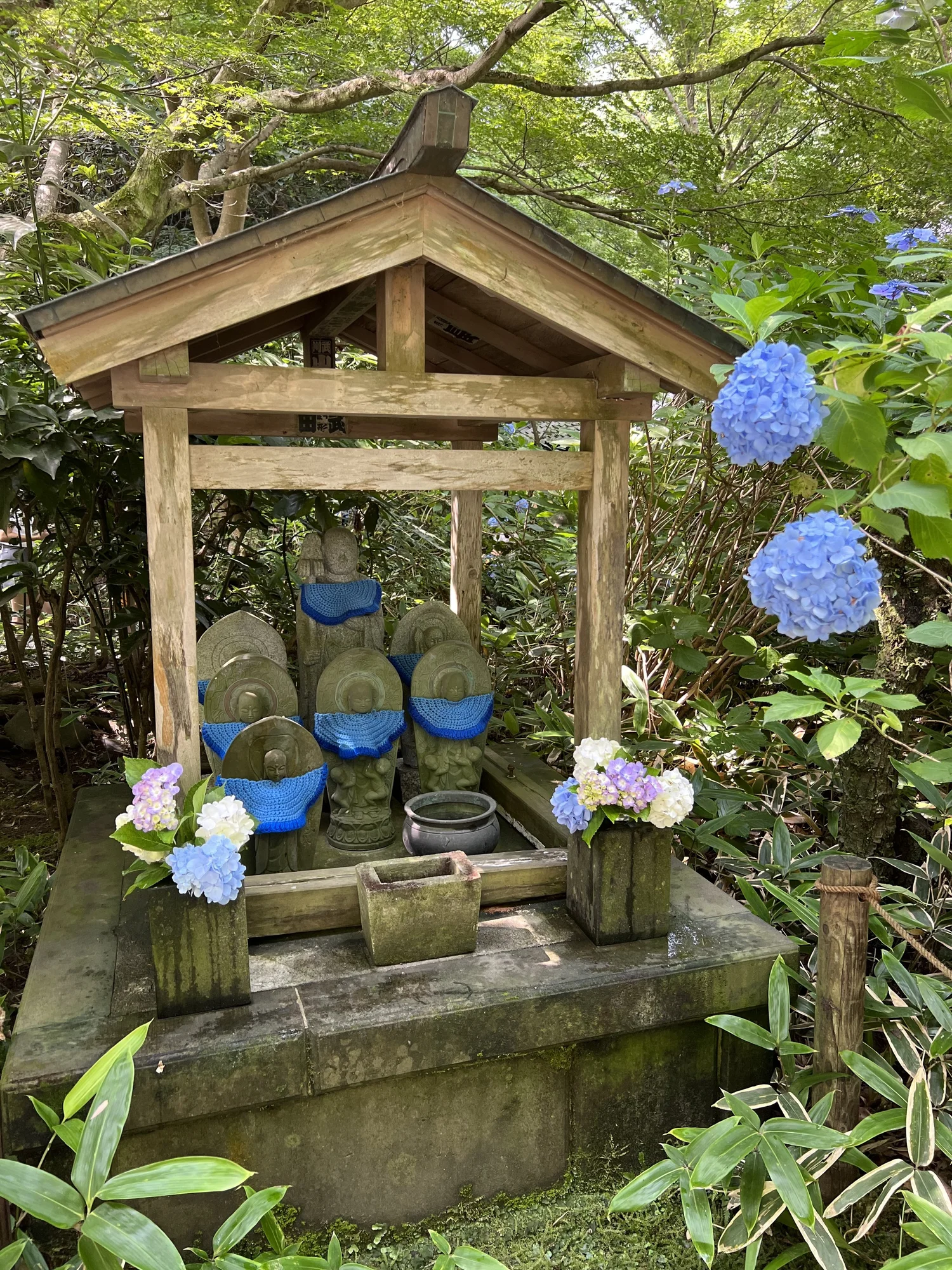 Kamakura Hydrangea Season Itinerary: A Perfect Day Trip from Tokyo ...
