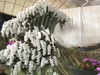 Japan Grand Prix International Orchid and Flower Show — Travely Notes