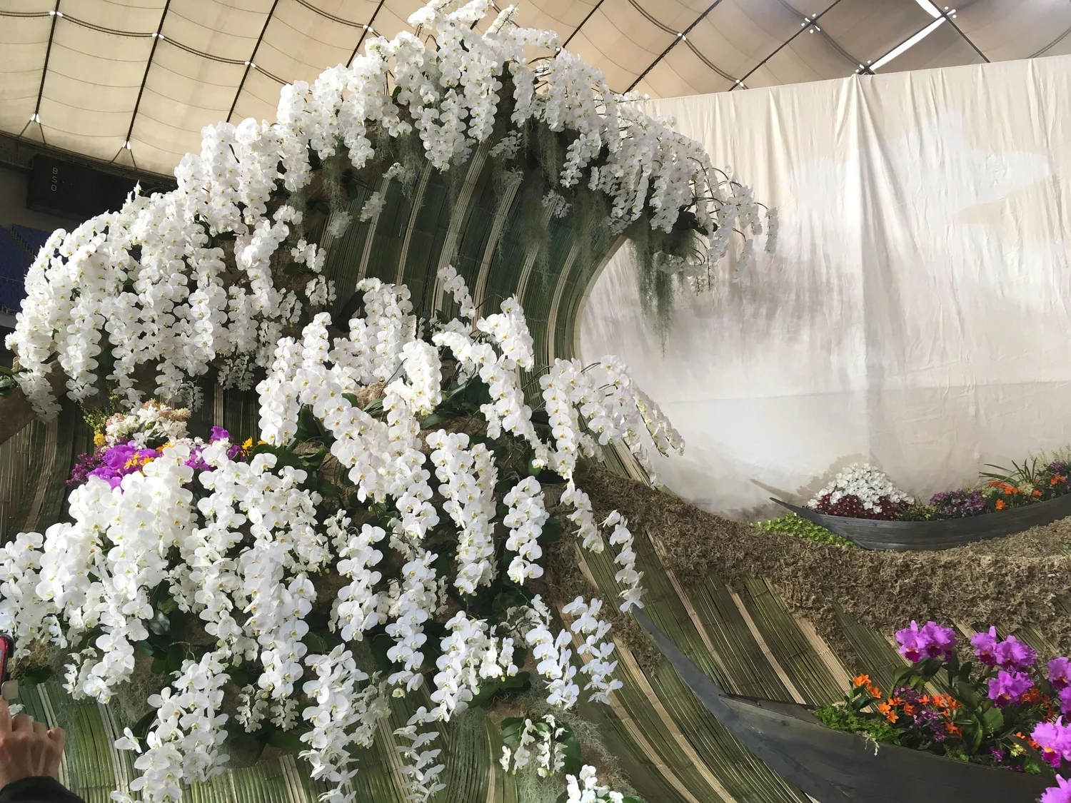 Japan Grand Prix International Orchid and Flower Show — Travely Notes