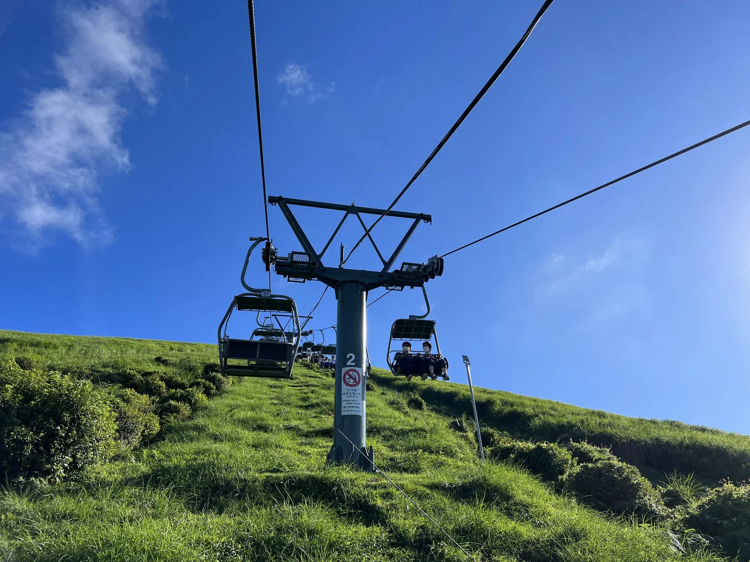 A Nature Day Trip to Izu: Jogasaki Coast and Mount Omuro Itinerary ...