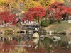 Autumn in Kyoto: A Complete One-Day Walking Itinerary in Higashiyama ...