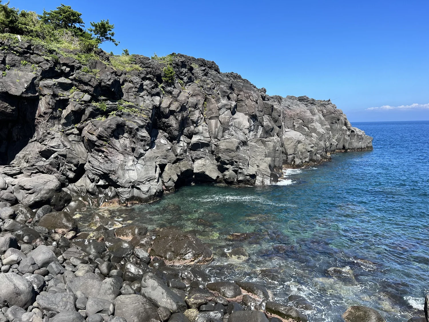 A Nature Day Trip to Izu: Jogasaki Coast and Mount Omuro Itinerary ...