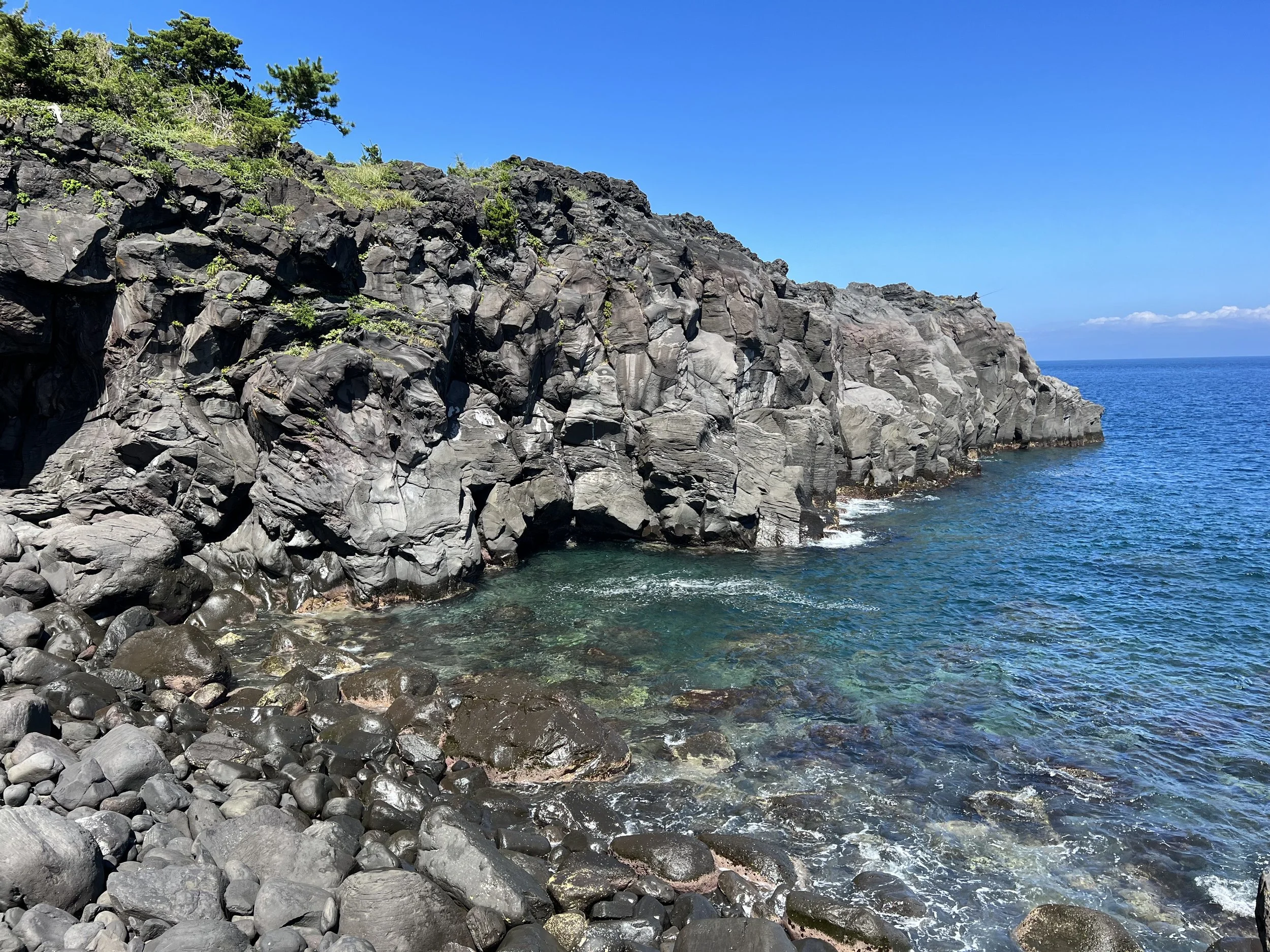 A Nature Day Trip to Izu: Jogasaki Coast and Mount Omuro Itinerary — Travely Notes