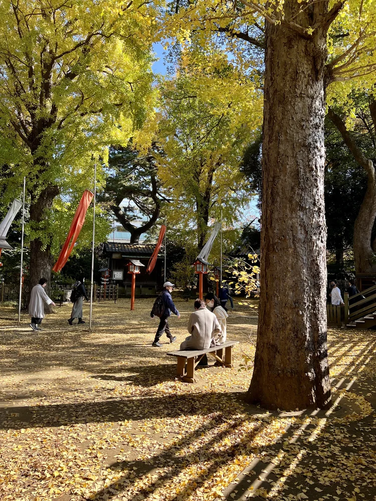 Todoroki Valley: a Hidden Getaway in the Suburbs of Tokyo — Travely Notes