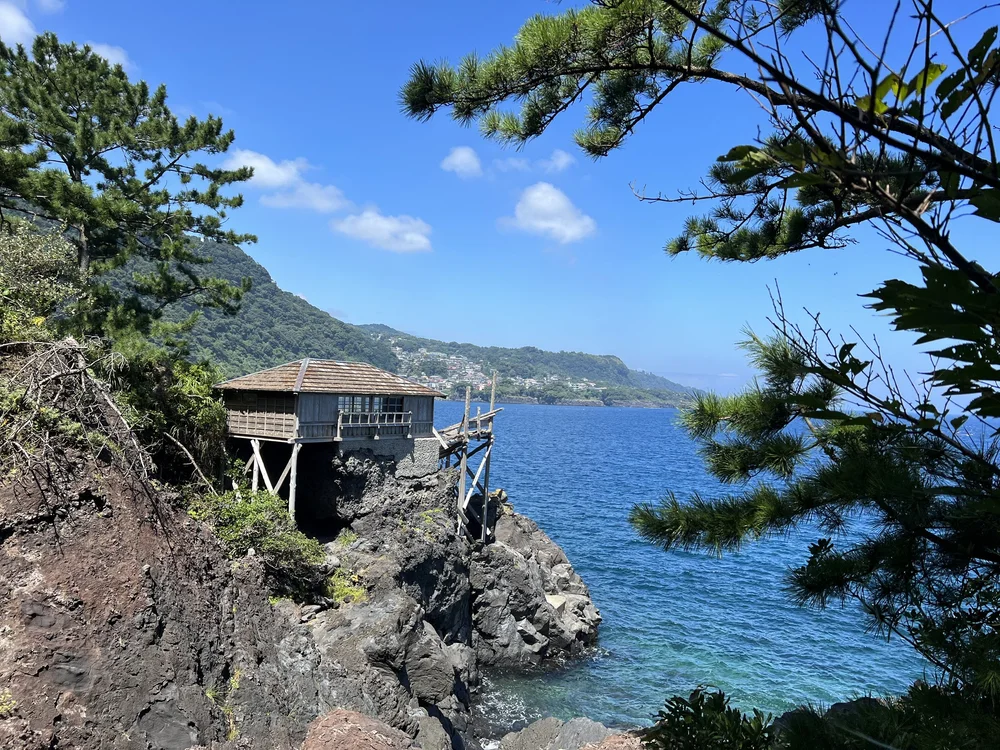 A Nature Day Trip to Izu: Jogasaki Coast and Mount Omuro Itinerary — Travely Notes