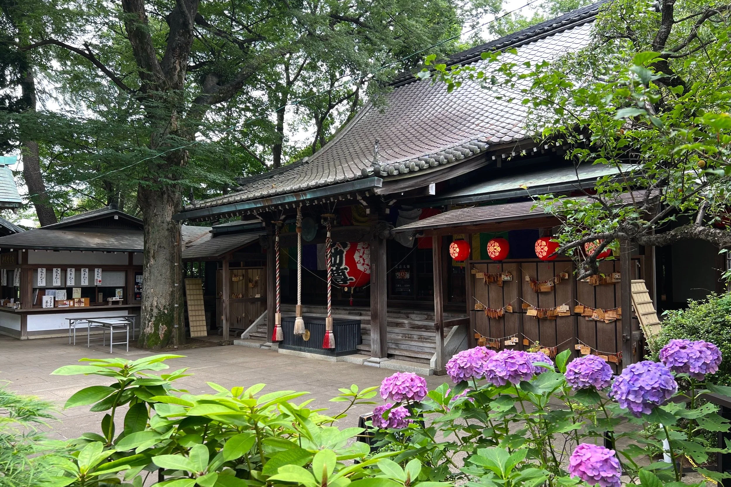 Todoroki Valley: a Hidden Getaway in the Suburbs of Tokyo — Travely Notes