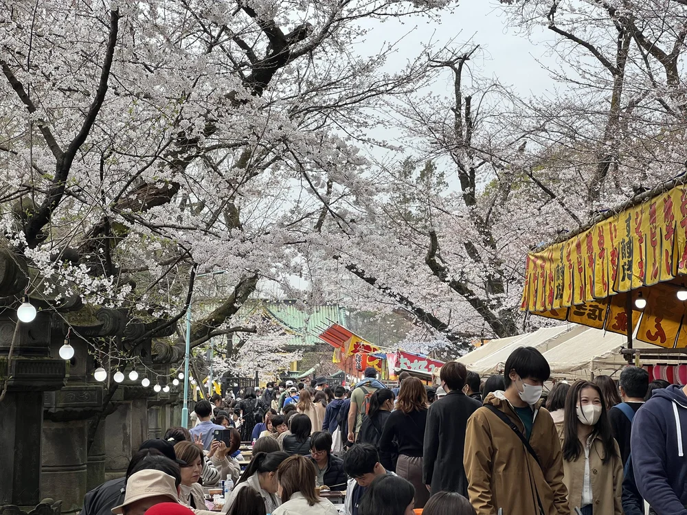 Tokyo’s Best Cherry Blossom Spots: A Sakura Lover’s Guide (2026 ...