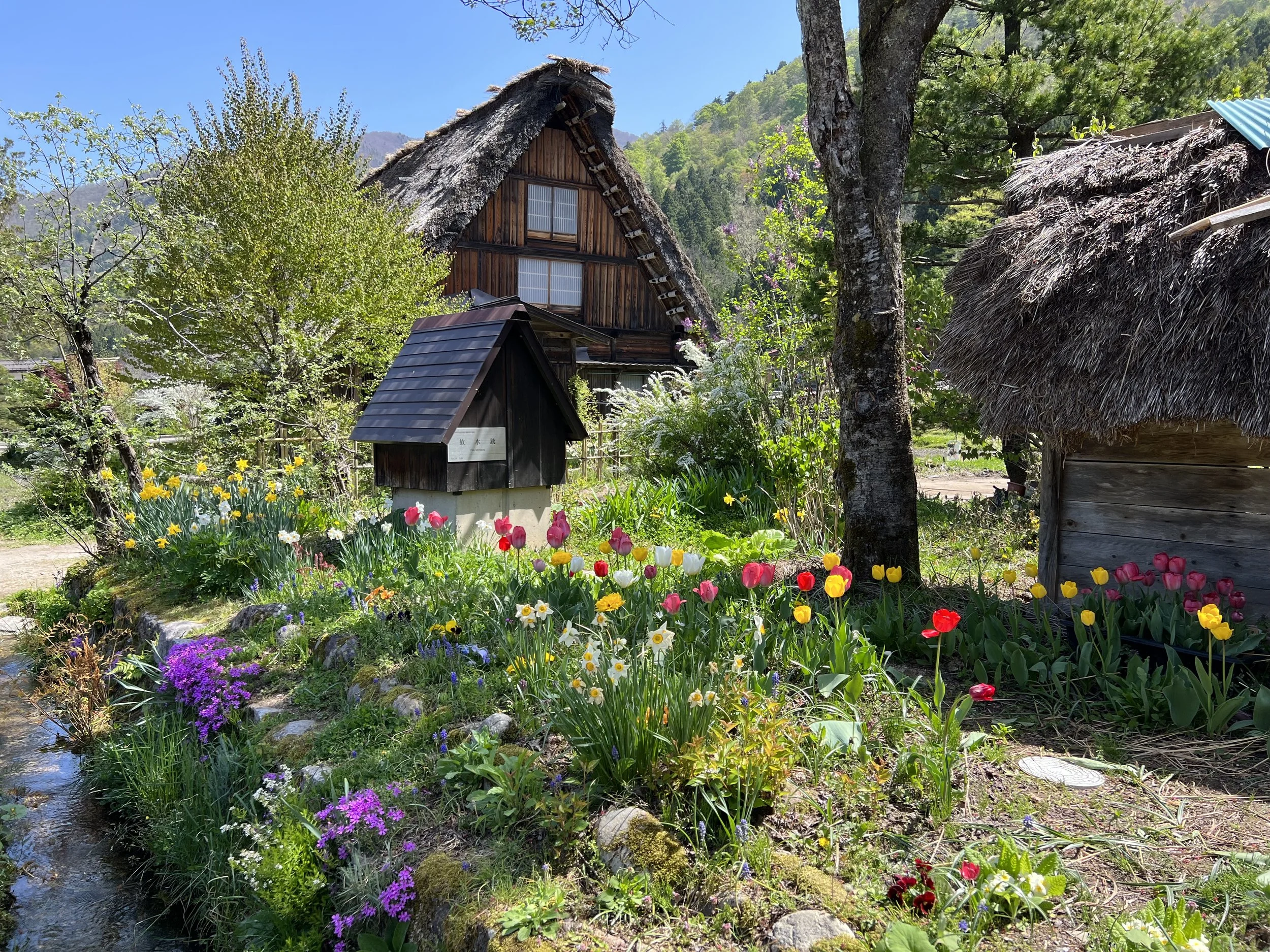 Why You Should Visit Shirakawa-go in Spring: A Complete Guide — Travely ...