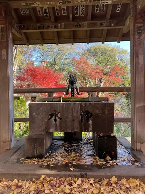 Hidden Tokyo: An Autumn Walk from Todoroki Valley to Futako-Tamagawa ...