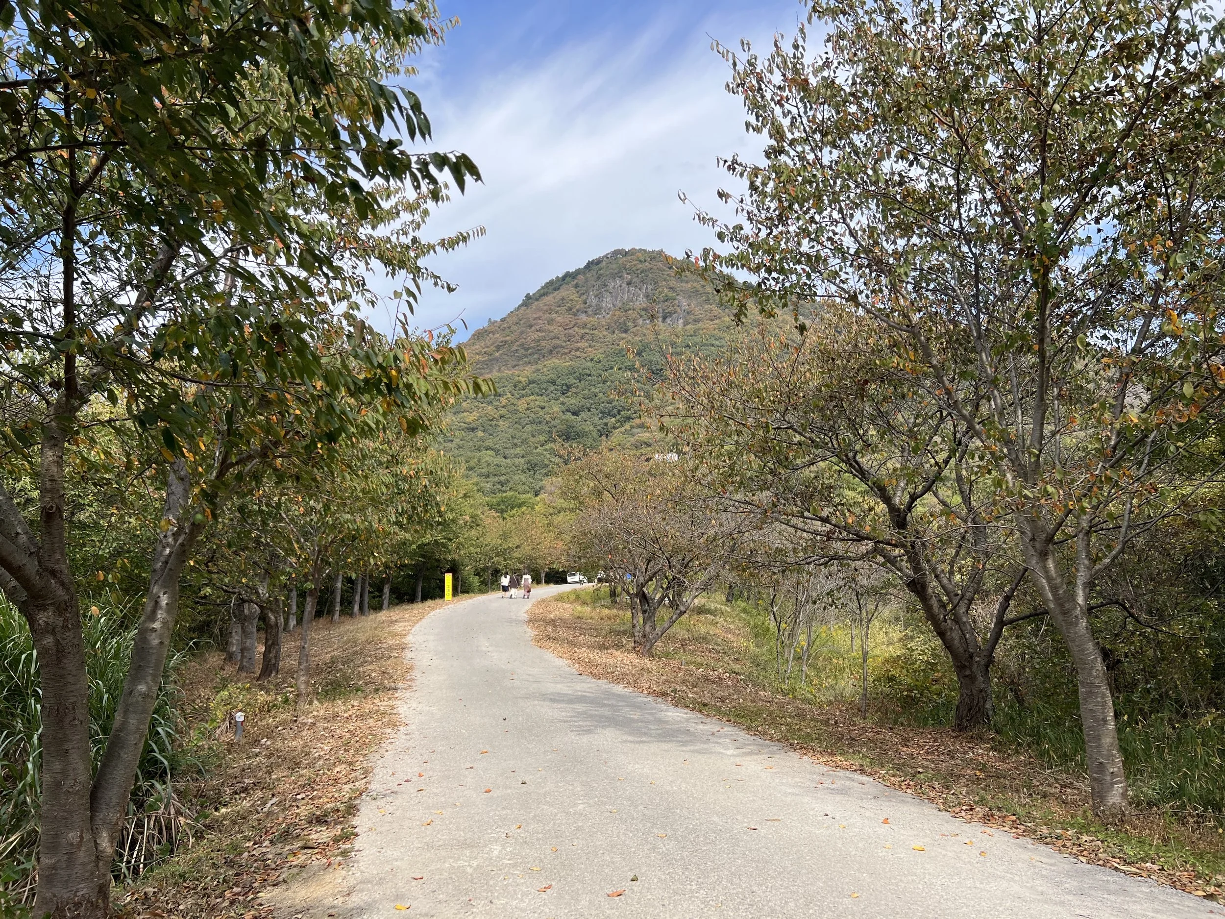 Discover Takaya Shrine: A Hiking Guide to Shikoku’s ‘Torii in the Sky ...