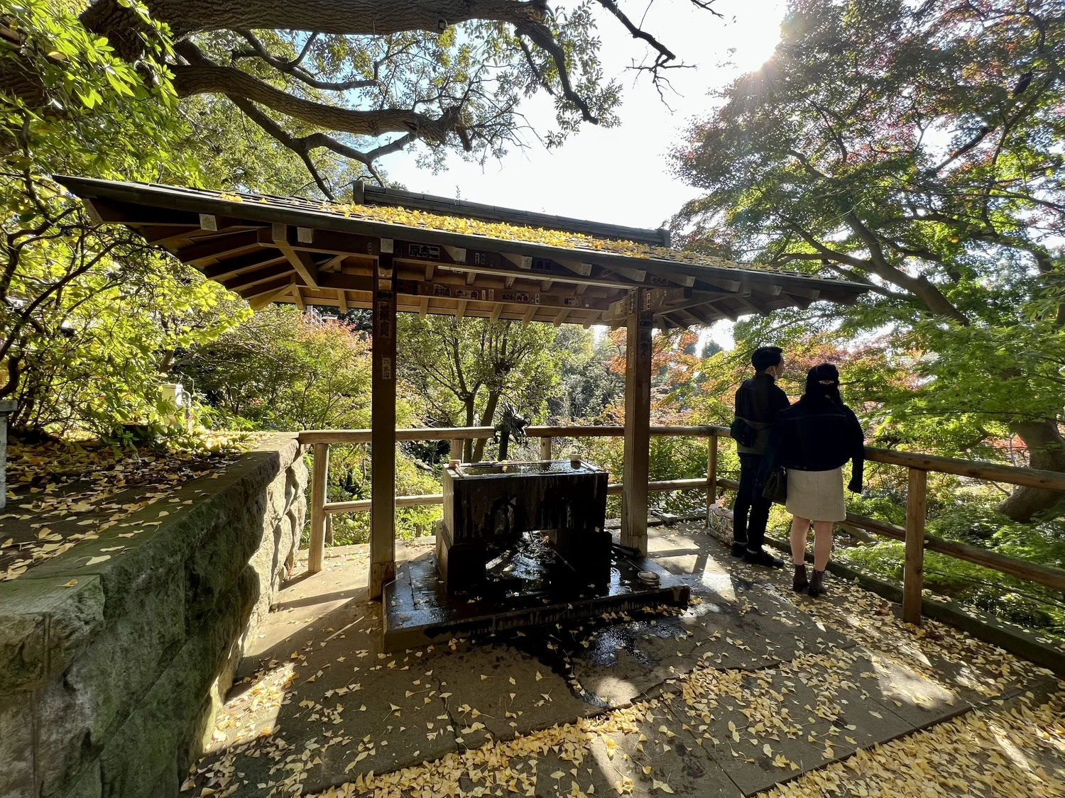 Todoroki Valley: a Hidden Getaway in the Suburbs of Tokyo — Travely Notes