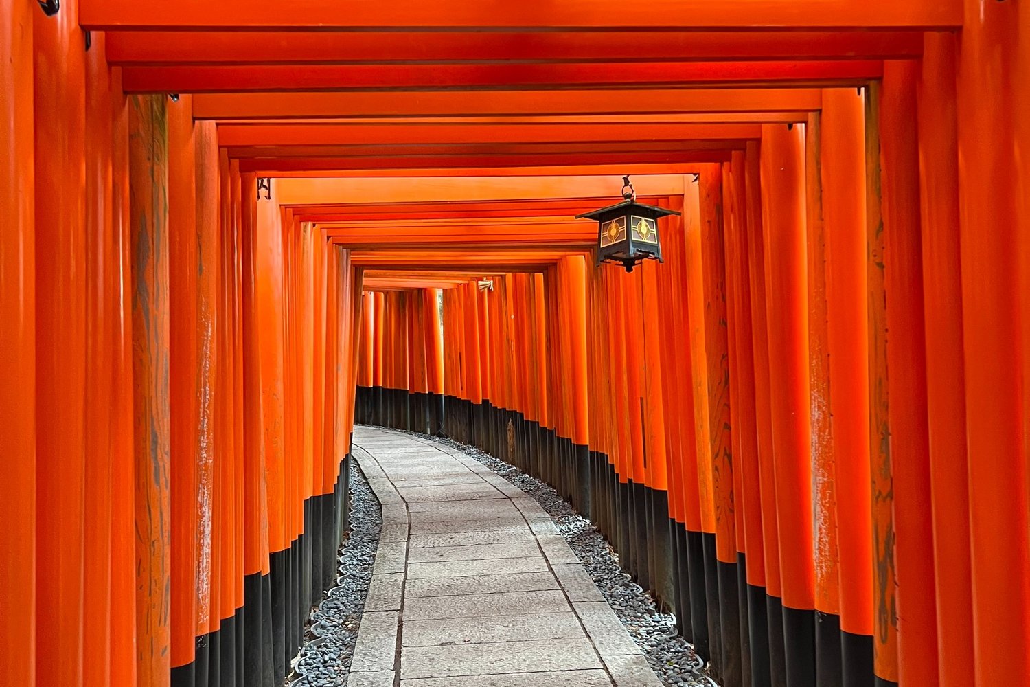 27 Essential Japan Travel Tips for First-Time Visitors: What You Need ...