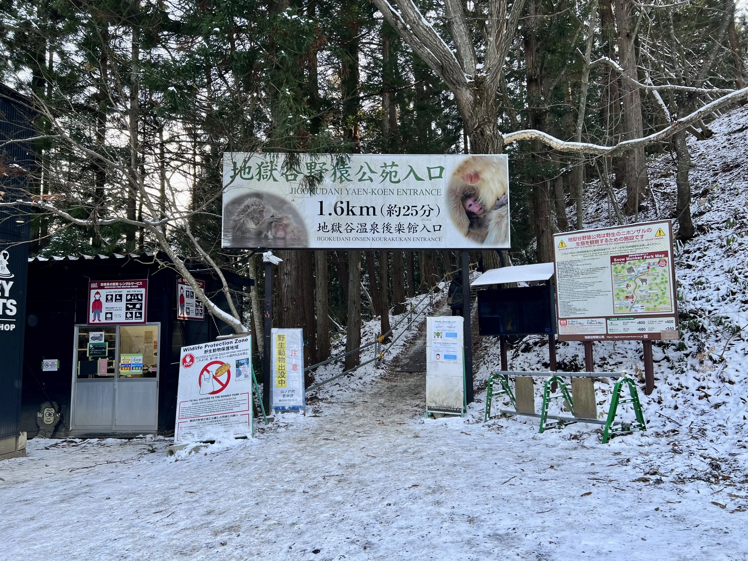 Things to Know Before Visiting the Snow Monkey Park — Travely Notes