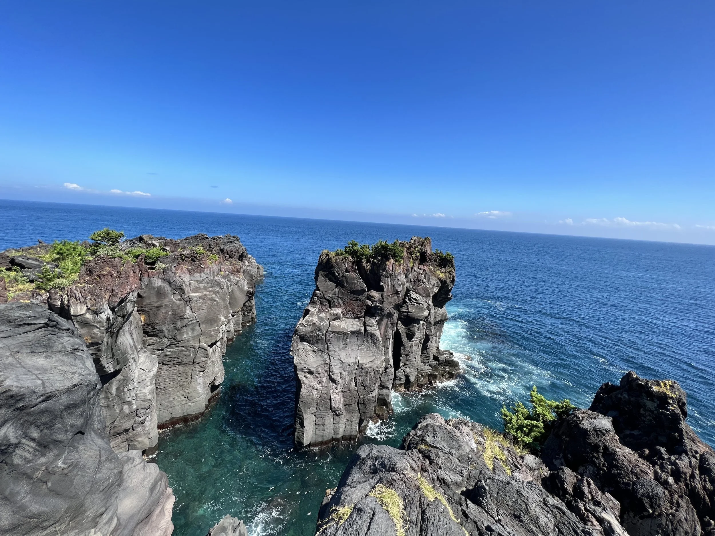 A Nature Day Trip to Izu: Jogasaki Coast and Mount Omuro Itinerary ...