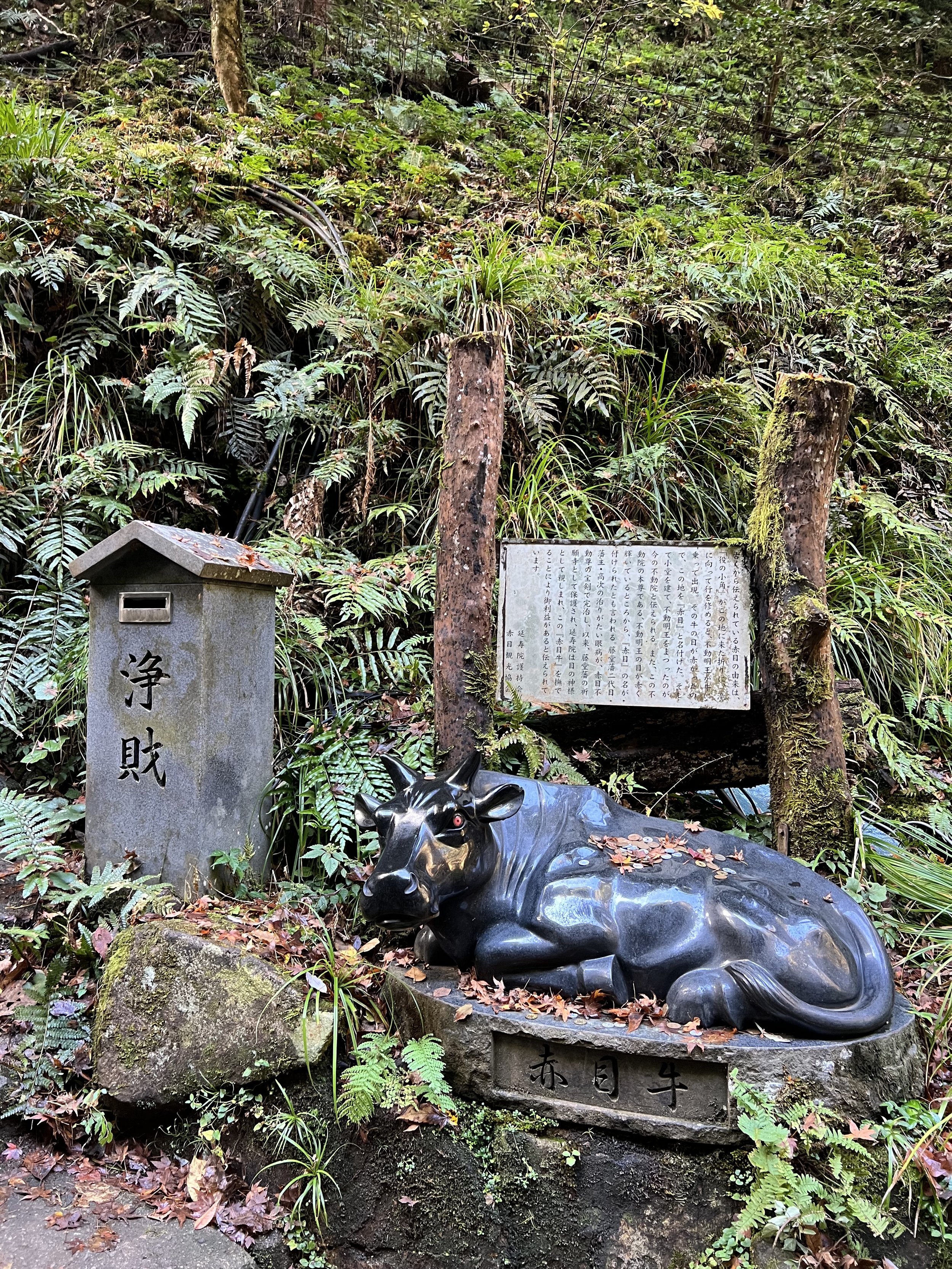 Hiking the Akame 48 Waterfalls Trail in Japan: A Complete Guide ...