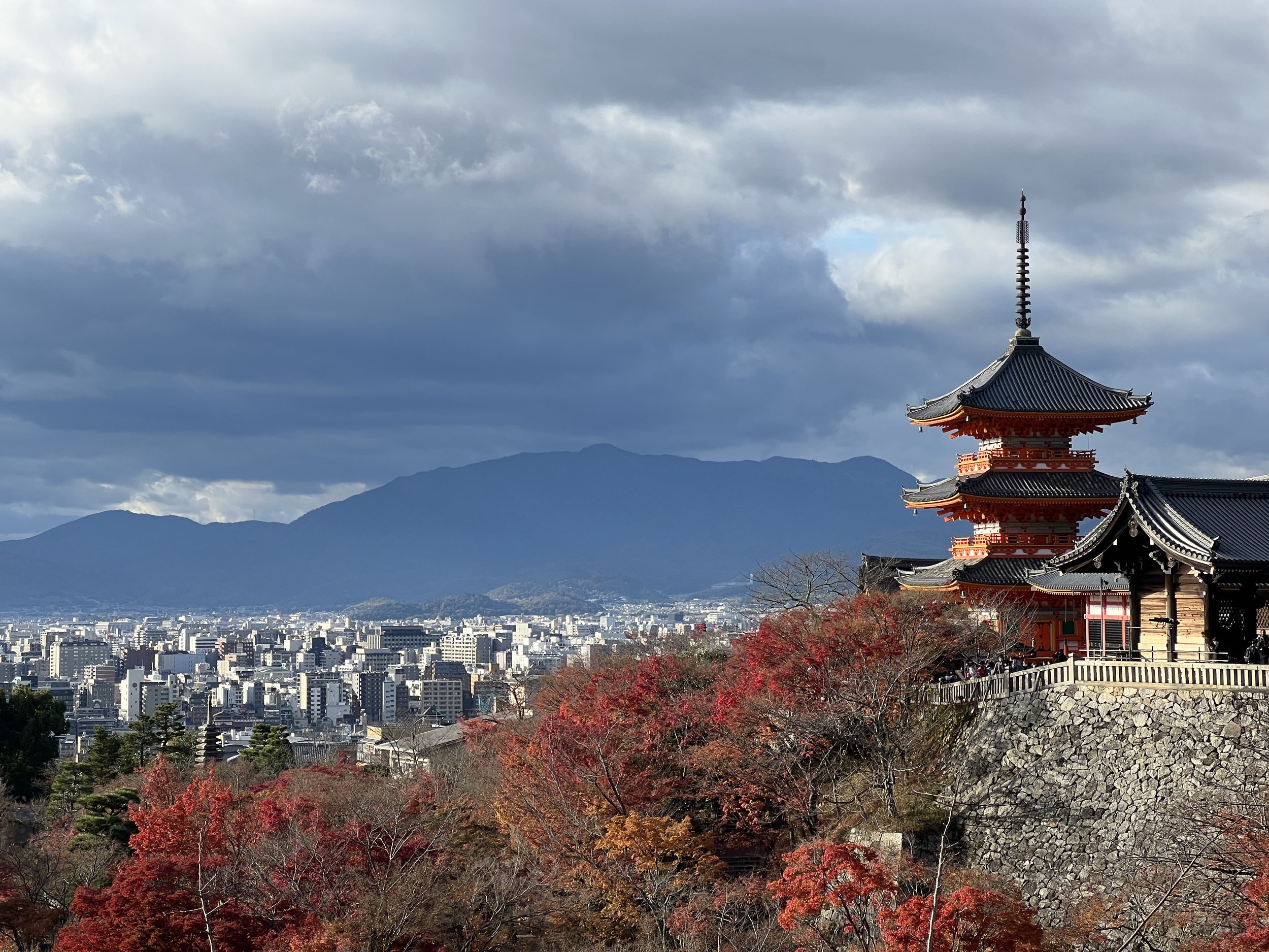 Japan on a Budget: My Top Saving Tips For Your Japan Trip — Travely Notes