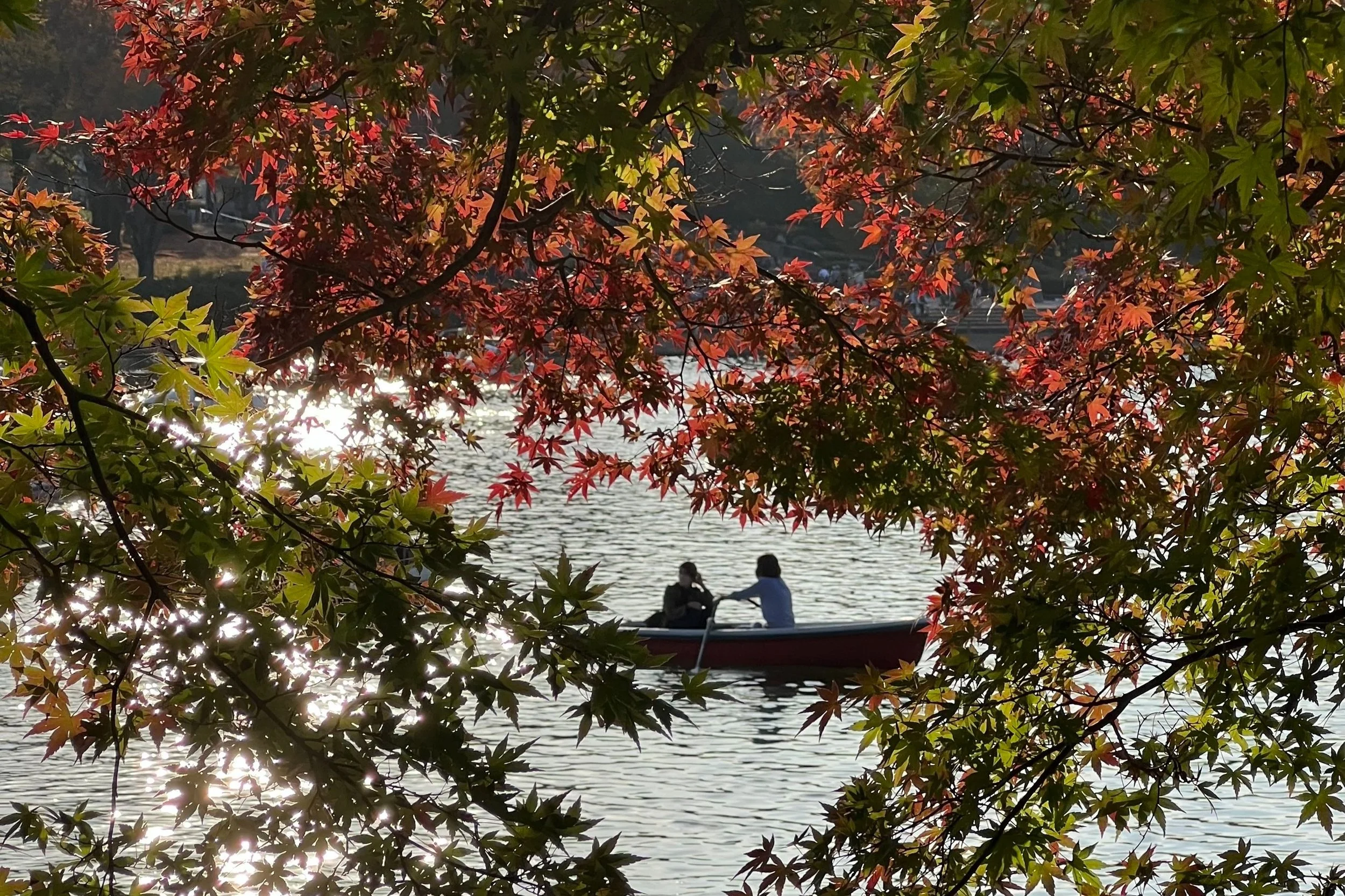 Autumn in Tokyo: 17 Top Fall Foliage Spots and Best Day Trips — Travely ...