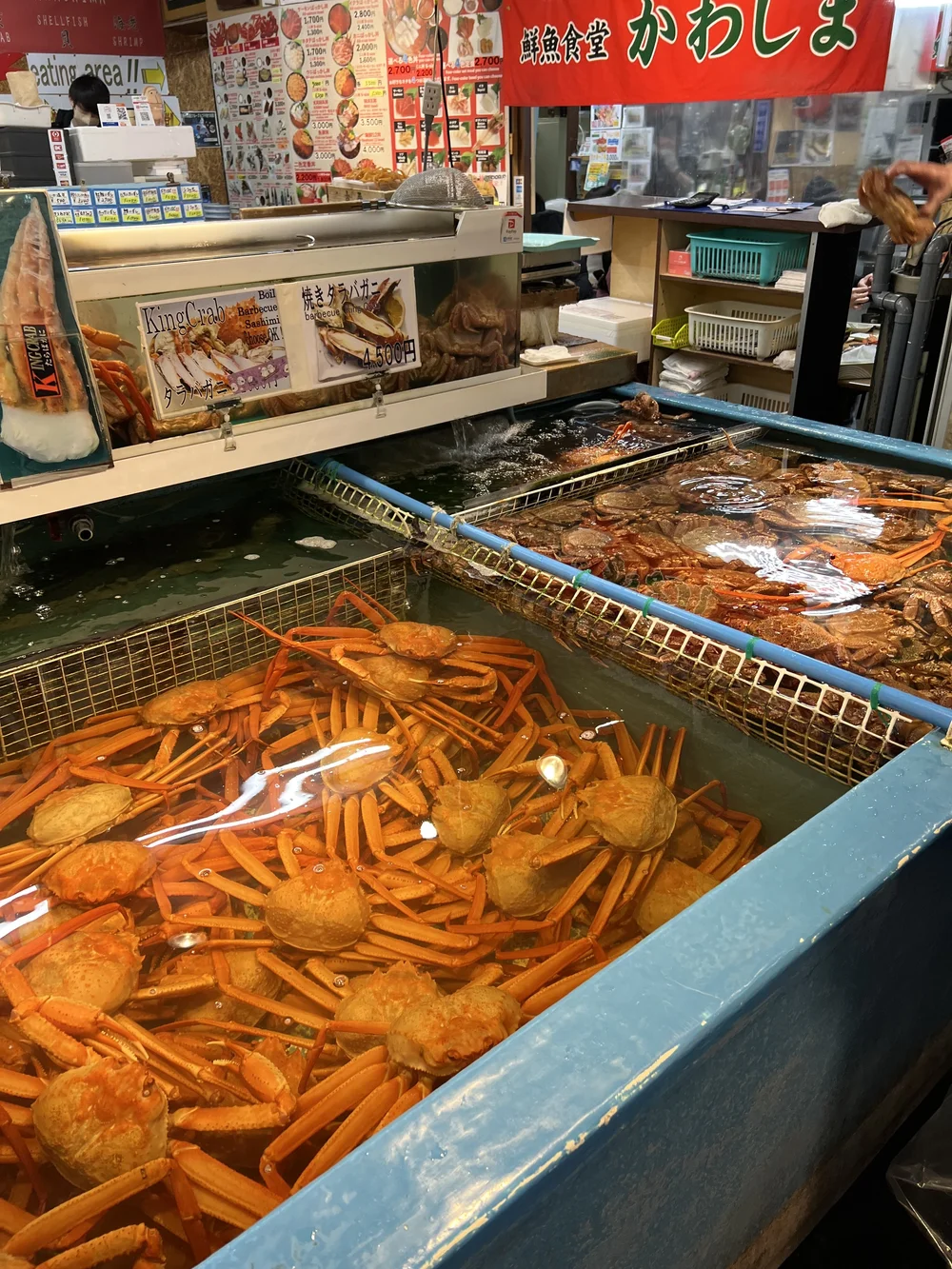 Otaru in Winter: an Unforgettable Day Trip from Sapporo — Travely Notes