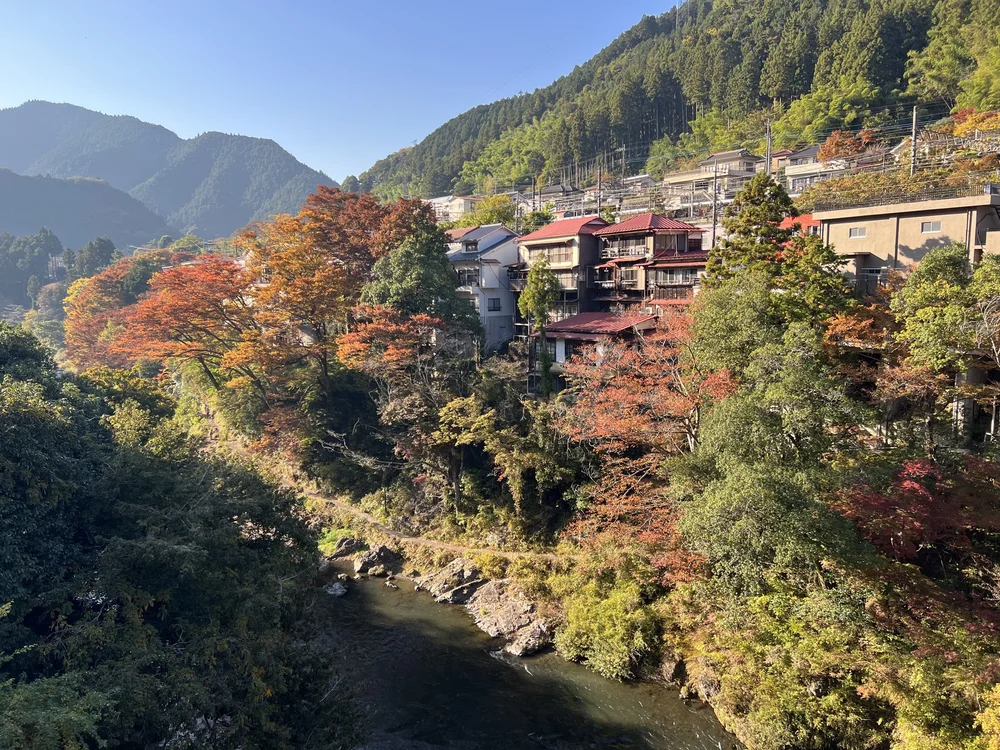 One Day in Mitake: A Perfect Autumn Escape from Tokyo — Travely Notes