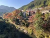 One Day in Mitake: A Perfect Autumn Escape from Tokyo — Travely Notes