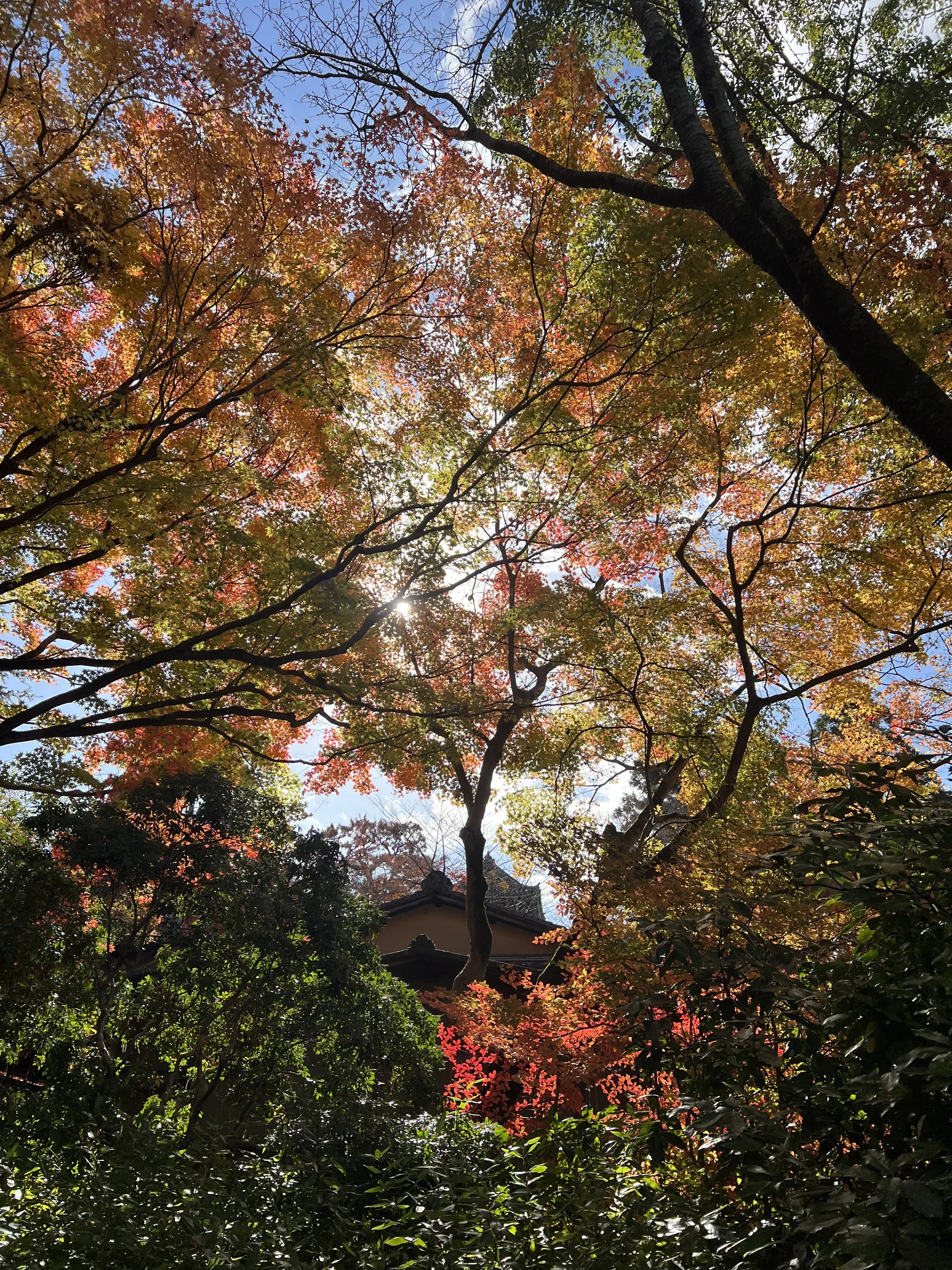 Autumn in Kyoto: A Complete One-Day Walking Itinerary in Higashiyama ...