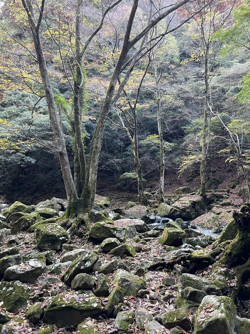 Hiking the Akame 48 Waterfalls Trail in Japan: A Complete Guide ...