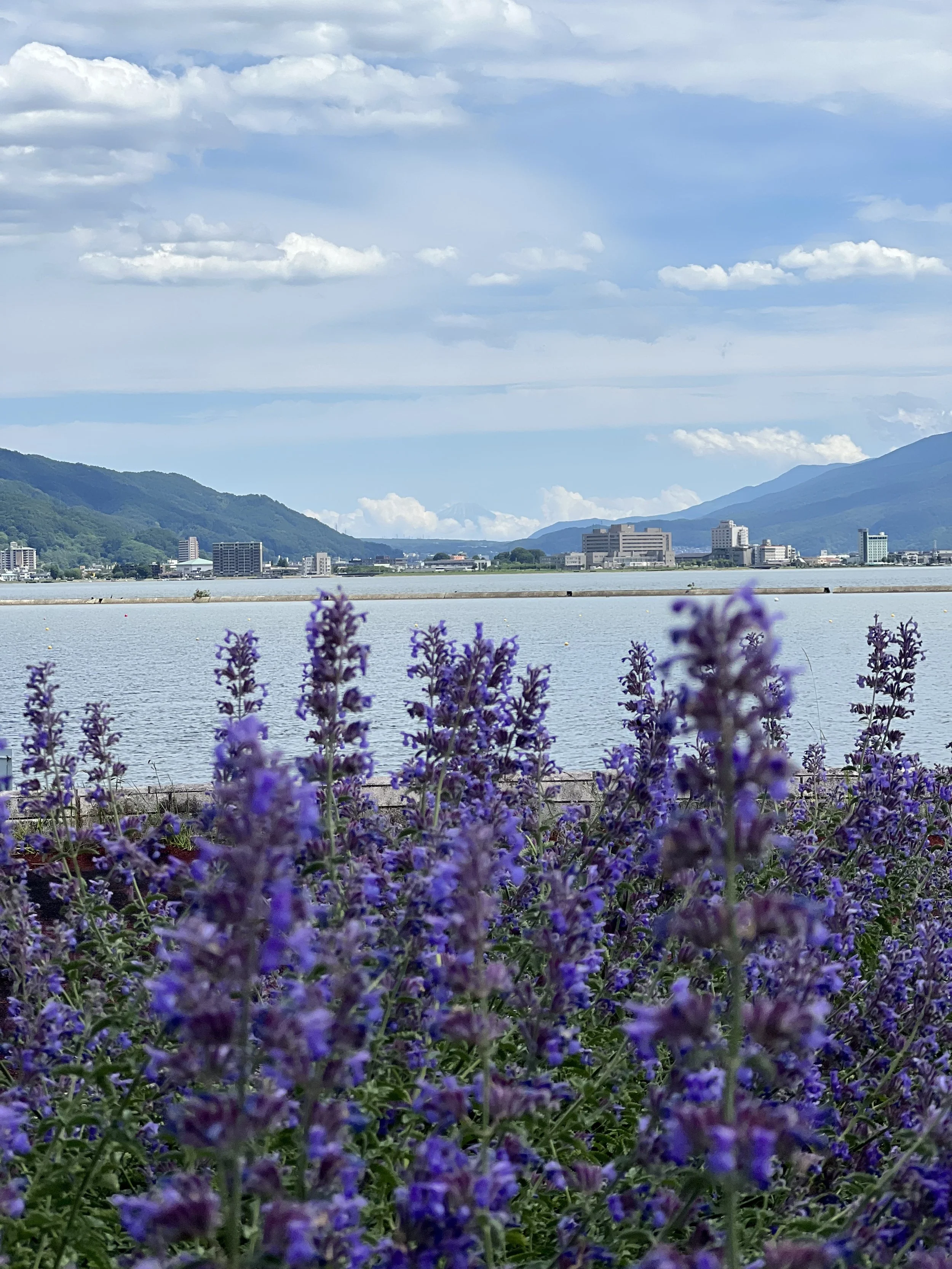 Suwa Itinerary: A Guide to Nagano’s Best-Kept Secret — Travely Notes