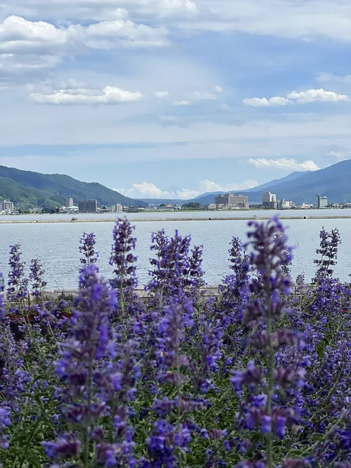 Suwa Itinerary: A Guide to Nagano’s Best-Kept Secret — Travely Notes