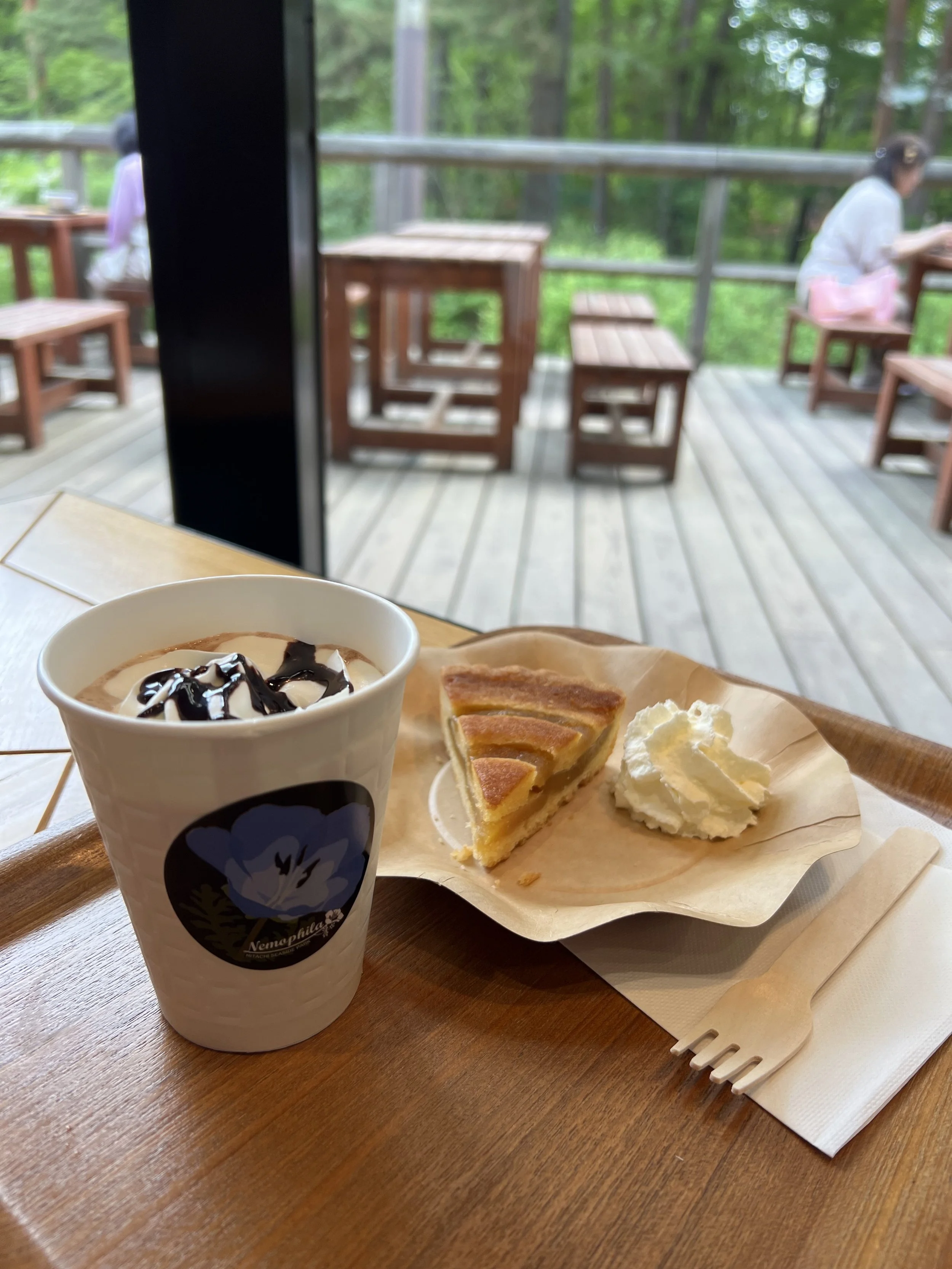 Day Trip Guide to Hitachi Seaside Park: 10 Suggestions for a Memorable ...