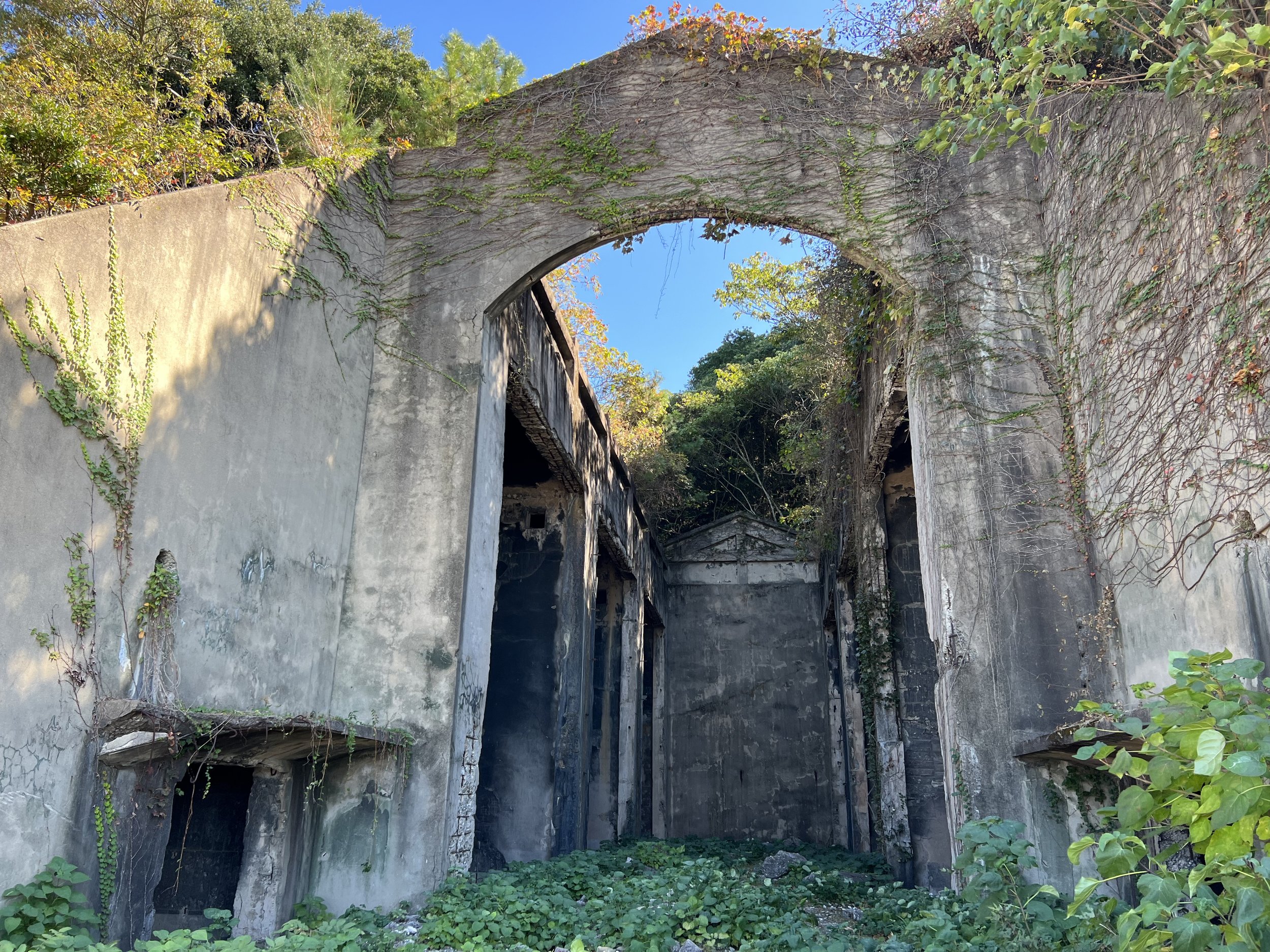 Okunoshima Rabbit Island, Japan: Everything You Need to Know — Travely ...
