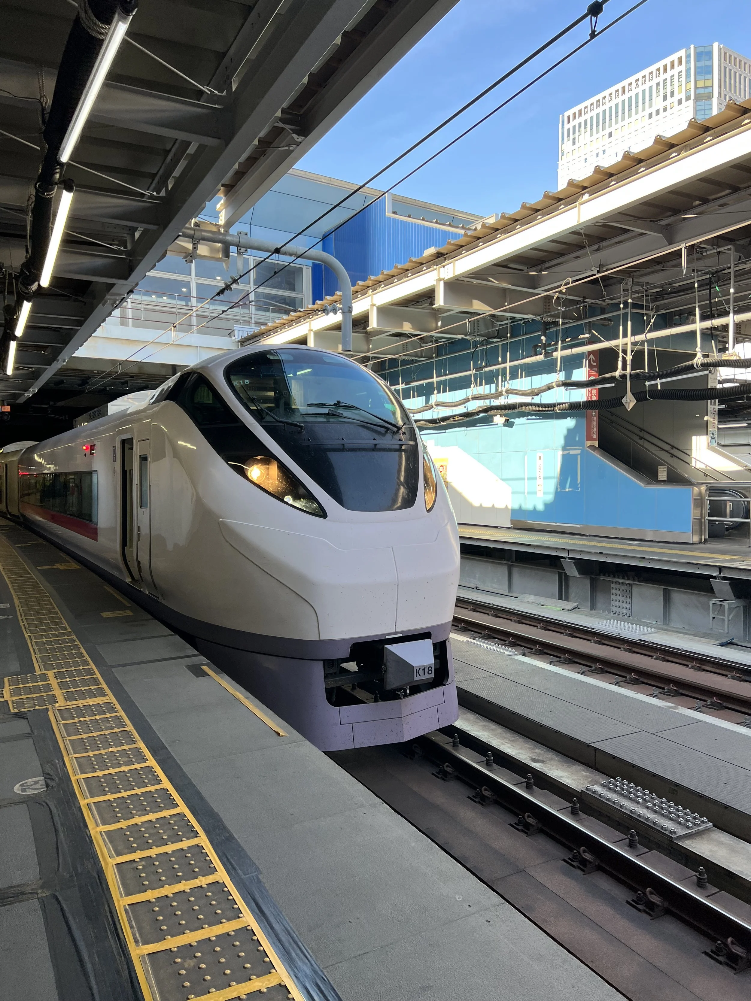 Day Trip Guide to Hitachi Seaside Park: 10 Suggestions for a Memorable ...