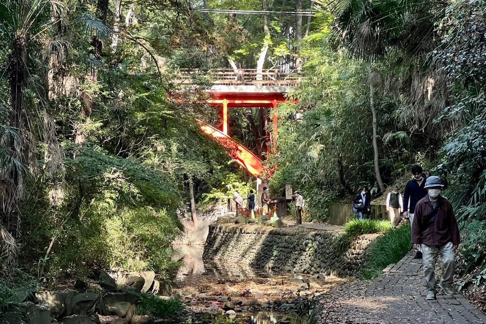 Todoroki Valley: a Hidden Getaway in the Suburbs of Tokyo — Travely Notes