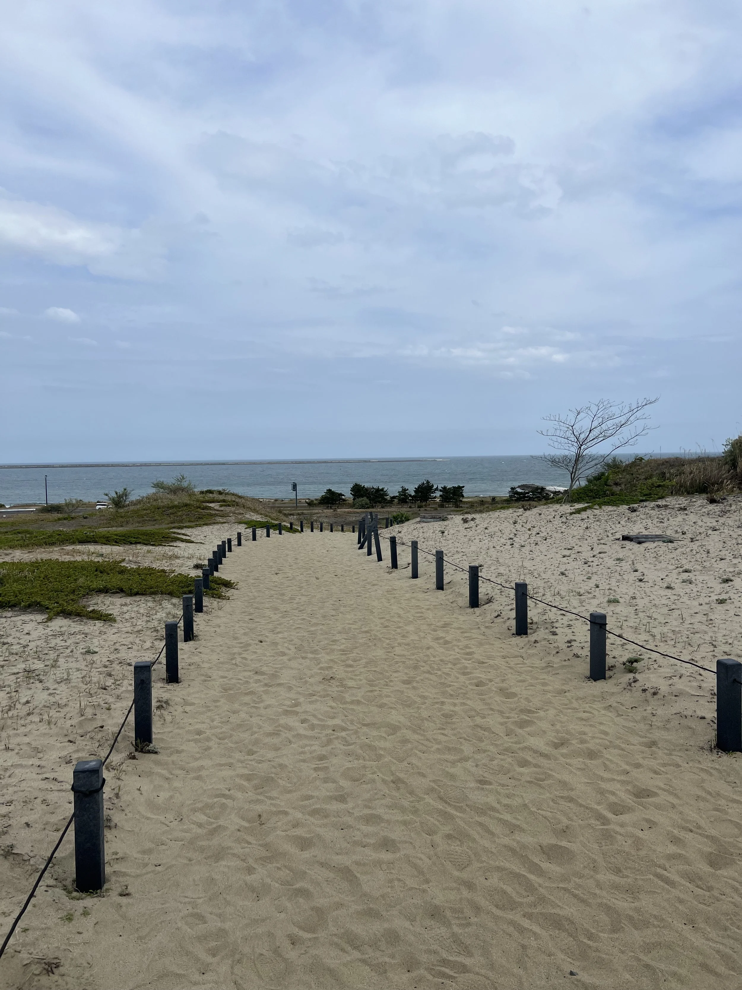 Day Trip Guide to Hitachi Seaside Park: 10 Suggestions for a Memorable ...