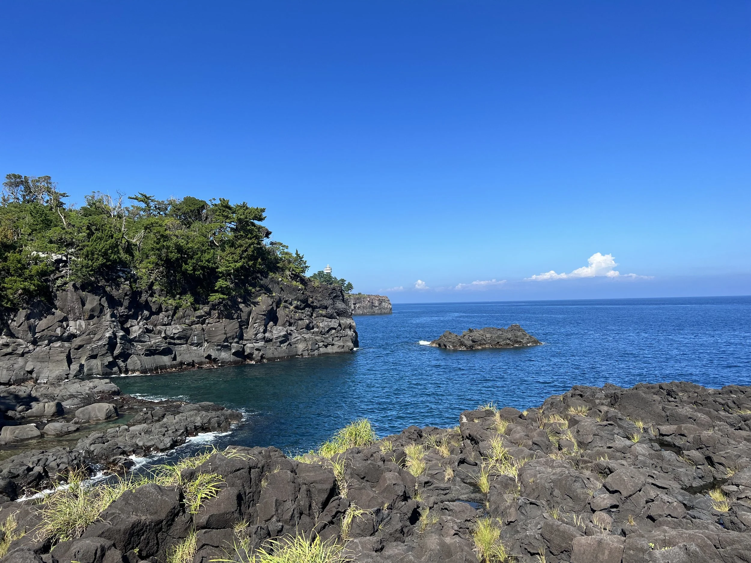 A Nature Day Trip to Izu: Jogasaki Coast and Mount Omuro Itinerary ...