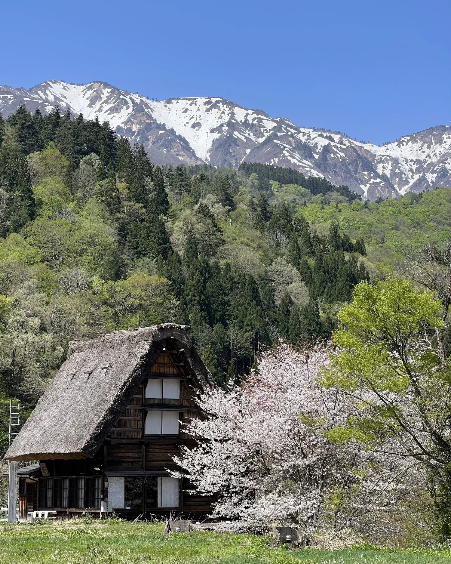 Why You Should Visit Shirakawa-go in Spring: A Complete Guide — Travely ...