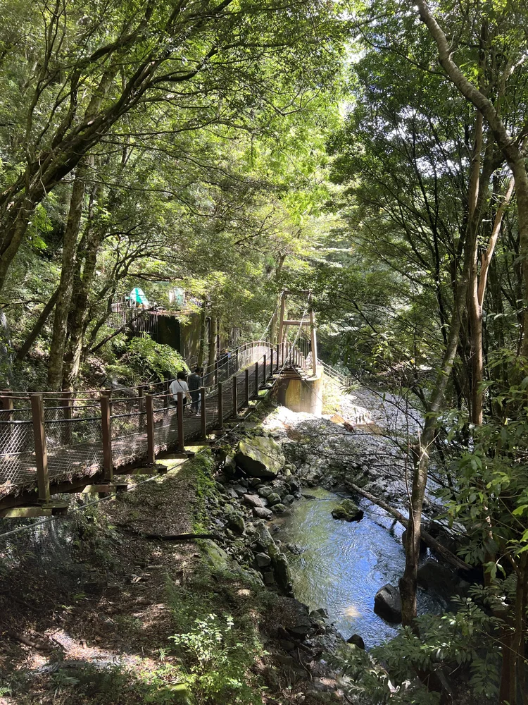 Kawazu 7 Falls: A Nature Lover's Hidden Gem on the Izu Peninsula ...