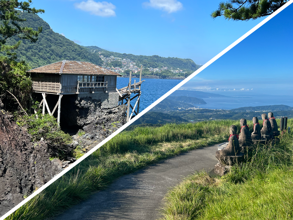 A Nature Day Trip to Izu: Jogasaki Coast and Mount Omuro Itinerary ...