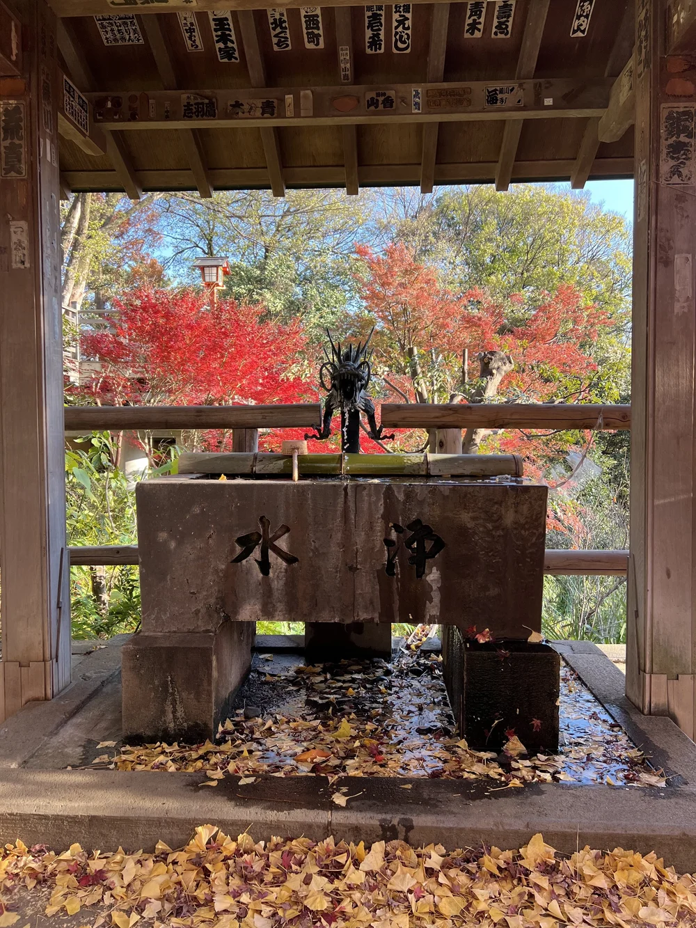 Autumn in Tokyo: 17 Top Fall Foliage Spots and Best Day Trips — Travely ...