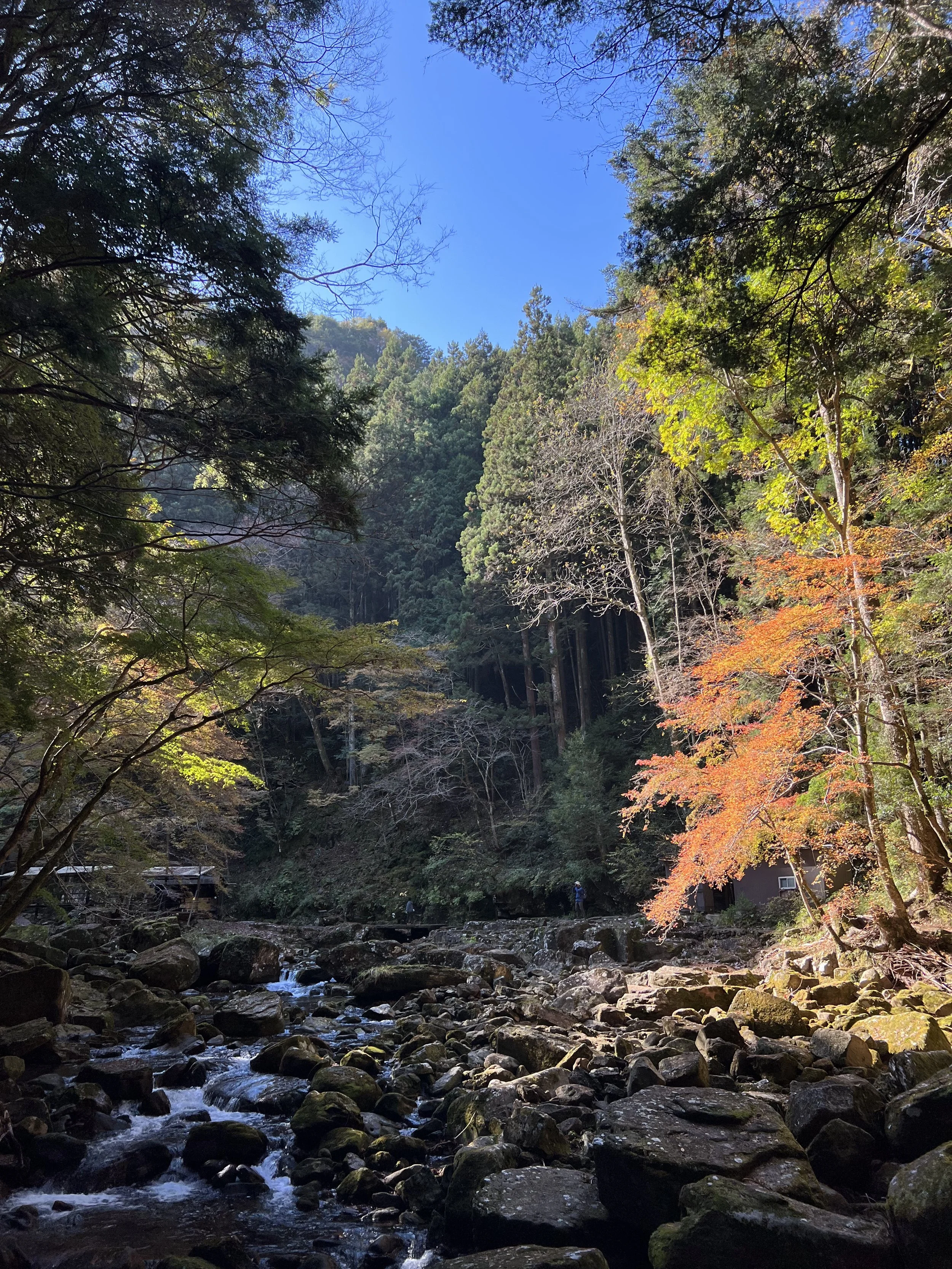 Hiking the Akame 48 Waterfalls Trail in Japan: A Complete Guide ...