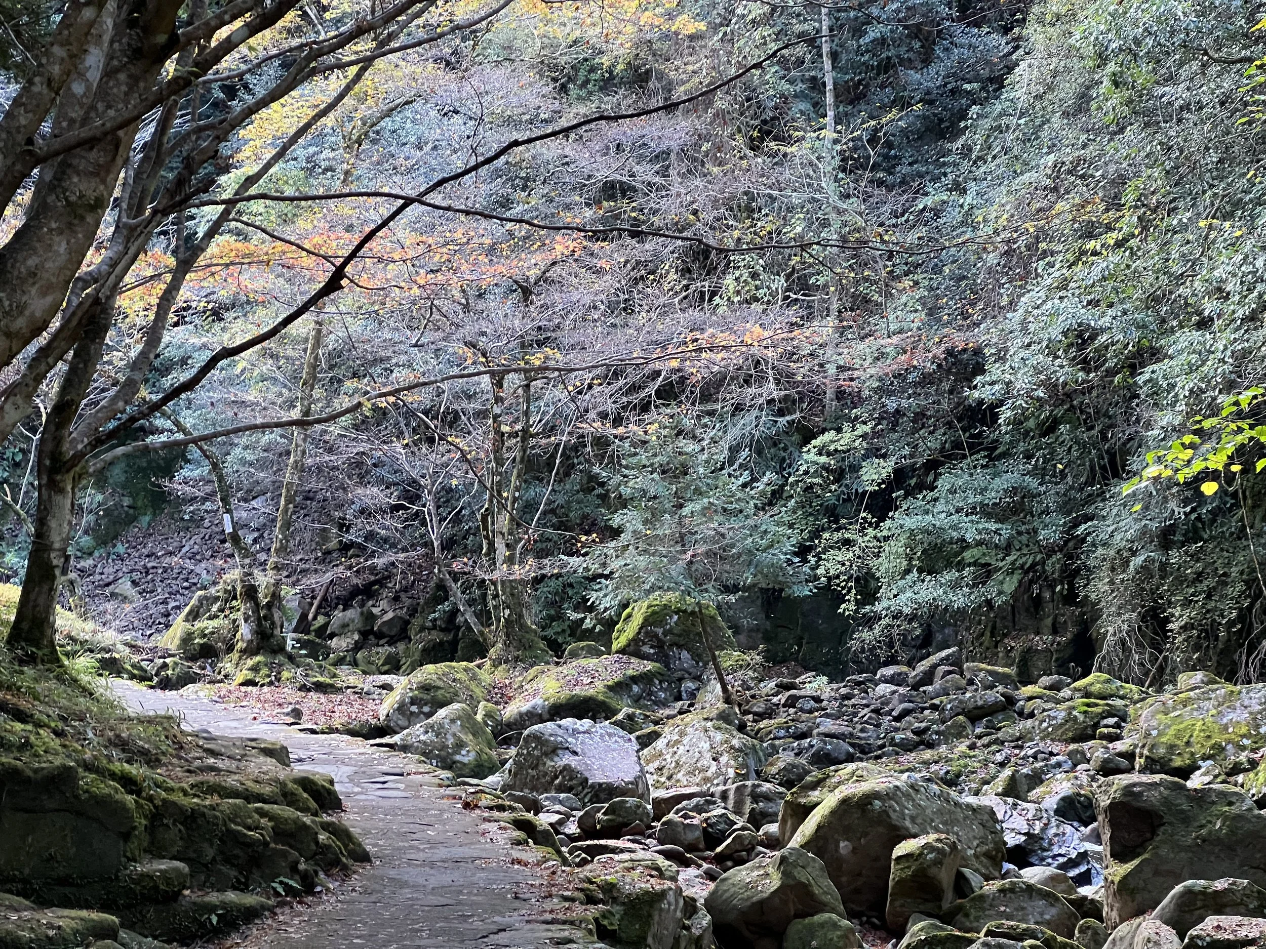 Hiking the Akame 48 Waterfalls Trail in Japan: A Complete Guide ...