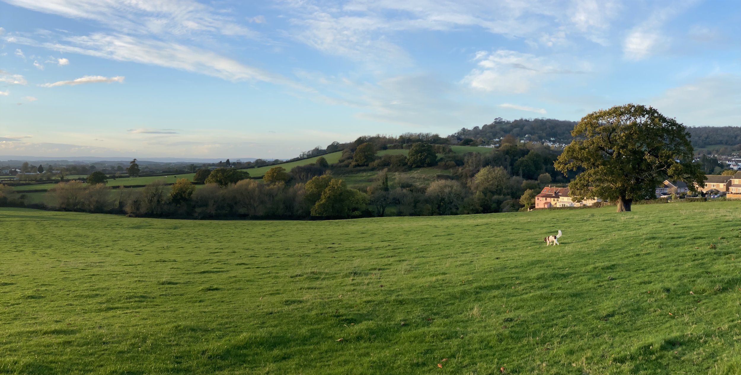 Who we are — Wotton Community Land Trust
